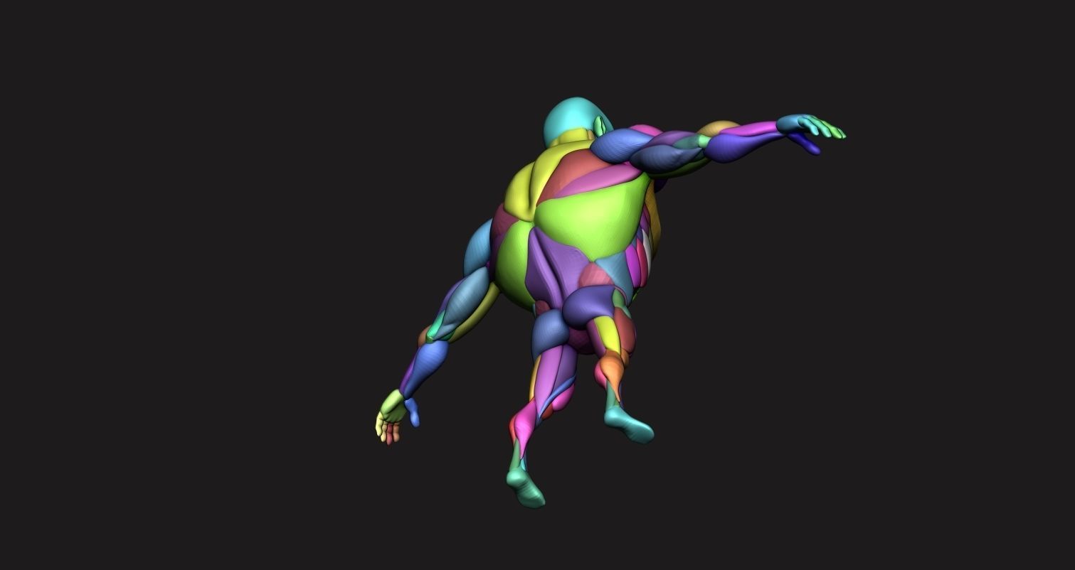 Stylized Anatomy Blockout 3D model | CGTrader