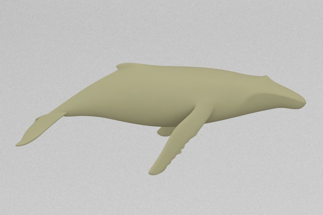 Whale 3D model 3D printable | CGTrader