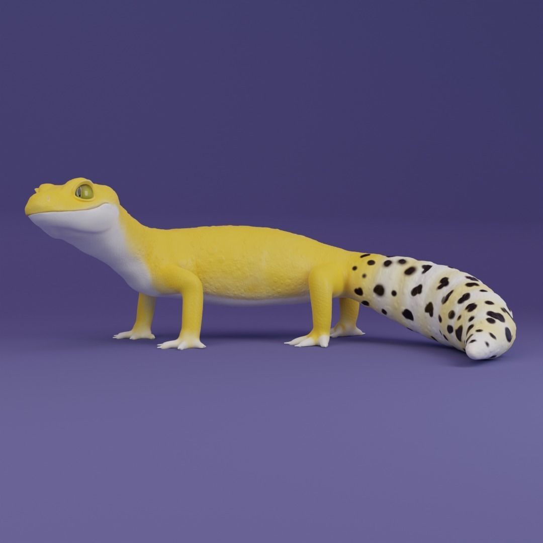 Leopard Gecko 3D model for printing figure 3D model 3D printable | CGTrader