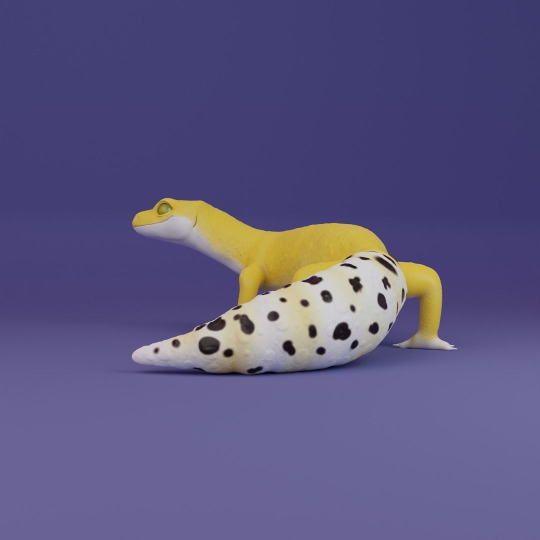 Leopard Gecko 3D model for printing figure 3D model 3D printable | CGTrader