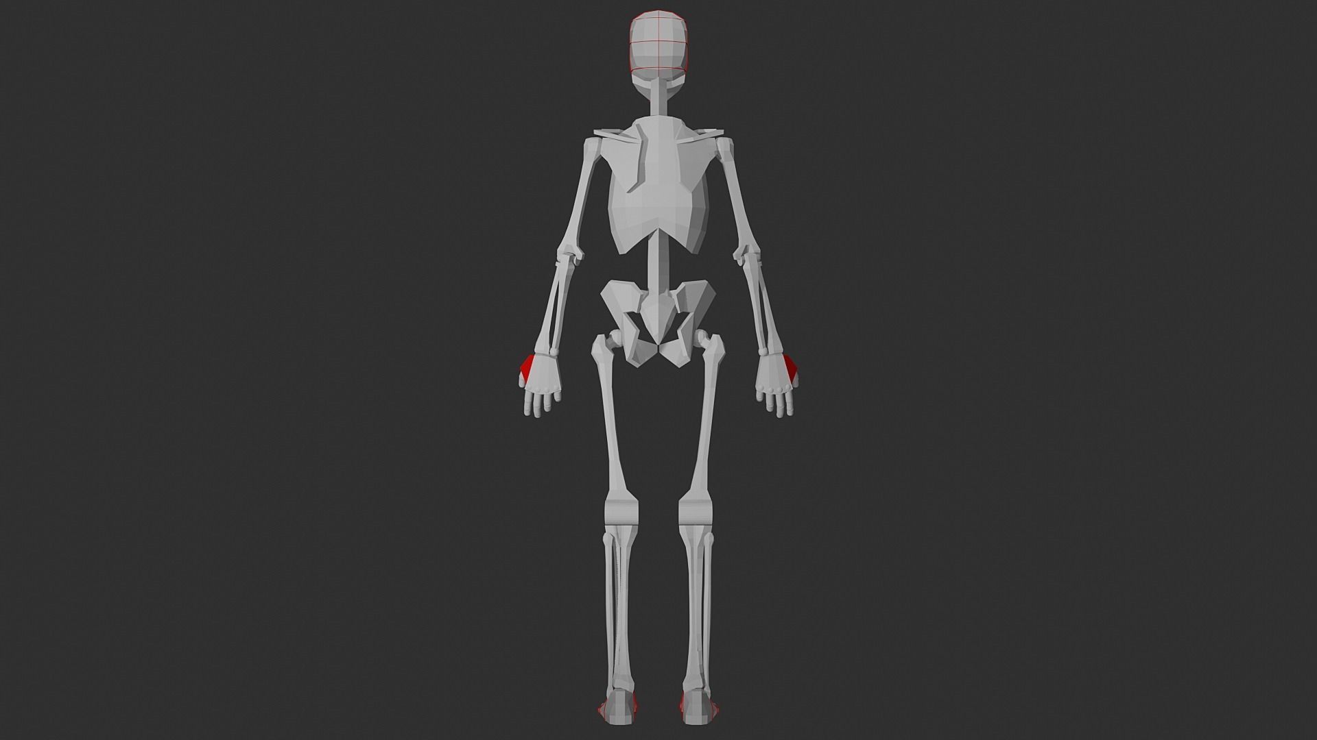 Female Skeleton For Artists 3D model rigged | CGTrader