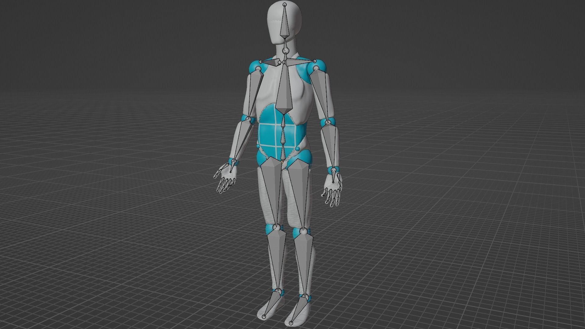 Male Mannequin For Artists 3D model rigged | CGTrader