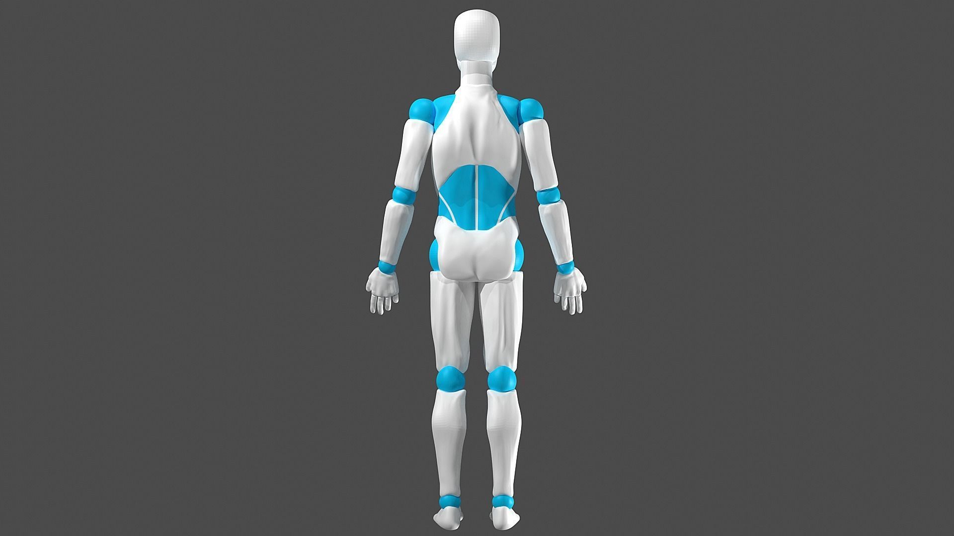 Male Mannequin For Artists 3D model rigged | CGTrader