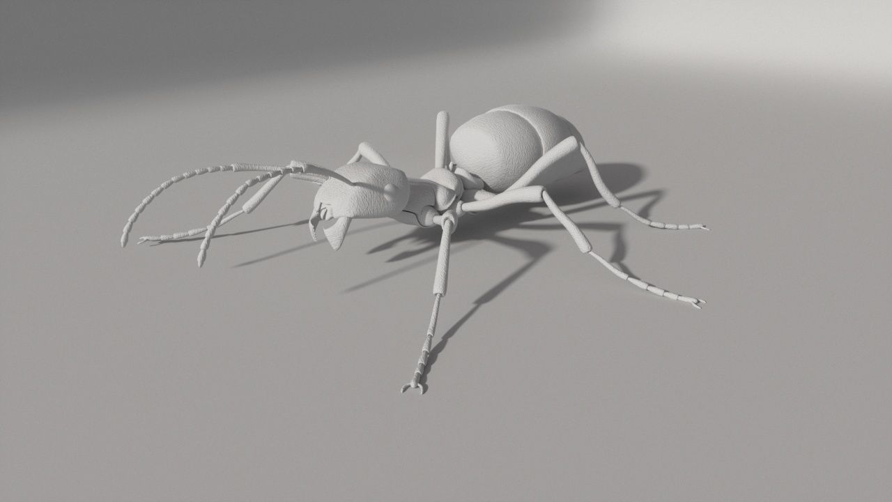 Ant Rigged 3D model animated rigged | CGTrader