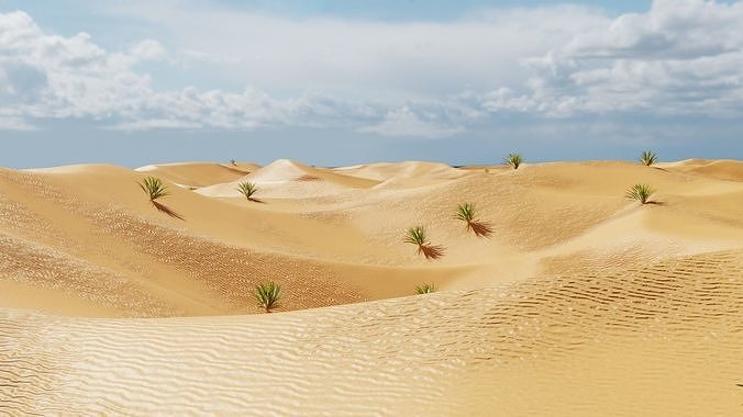3D model desert VR / AR / low-poly | CGTrader