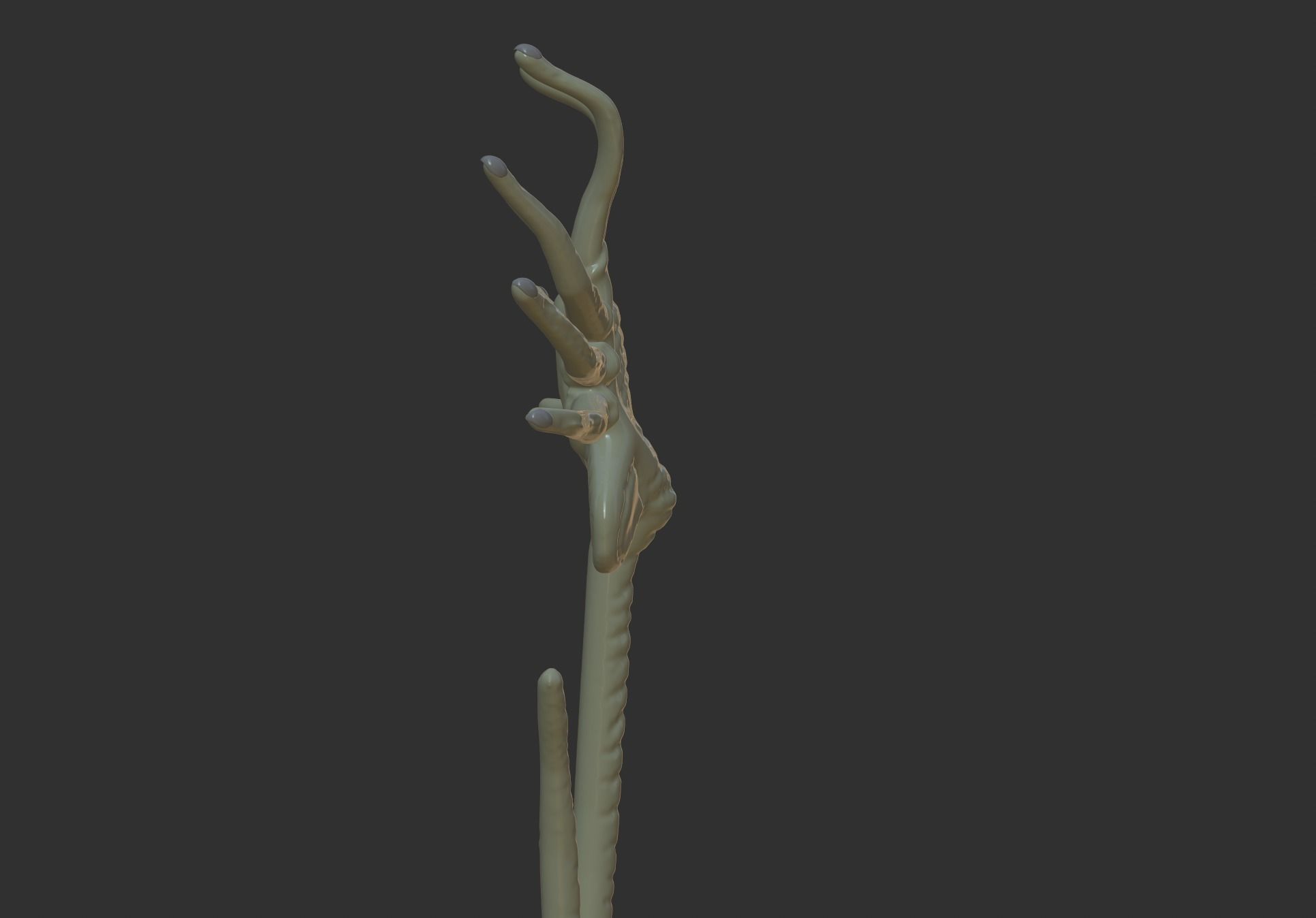 Alien Facehugger 3d Model Rigged Cgtrader