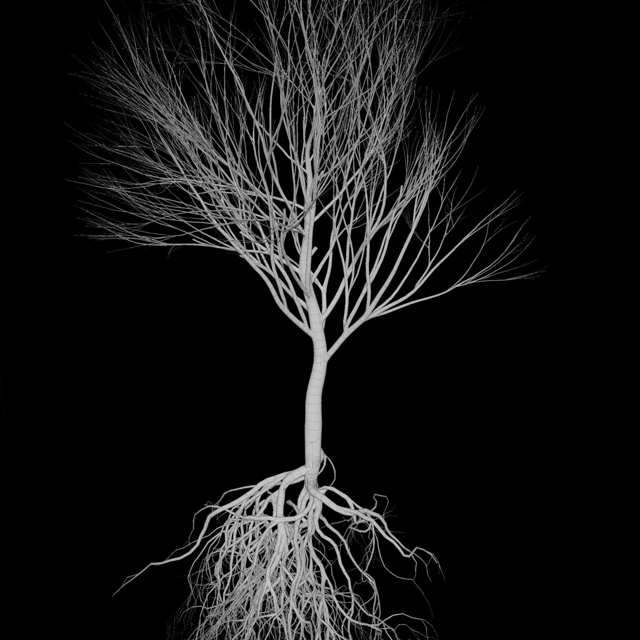 Tree with roots and leaves 3D model 3D model | CGTrader