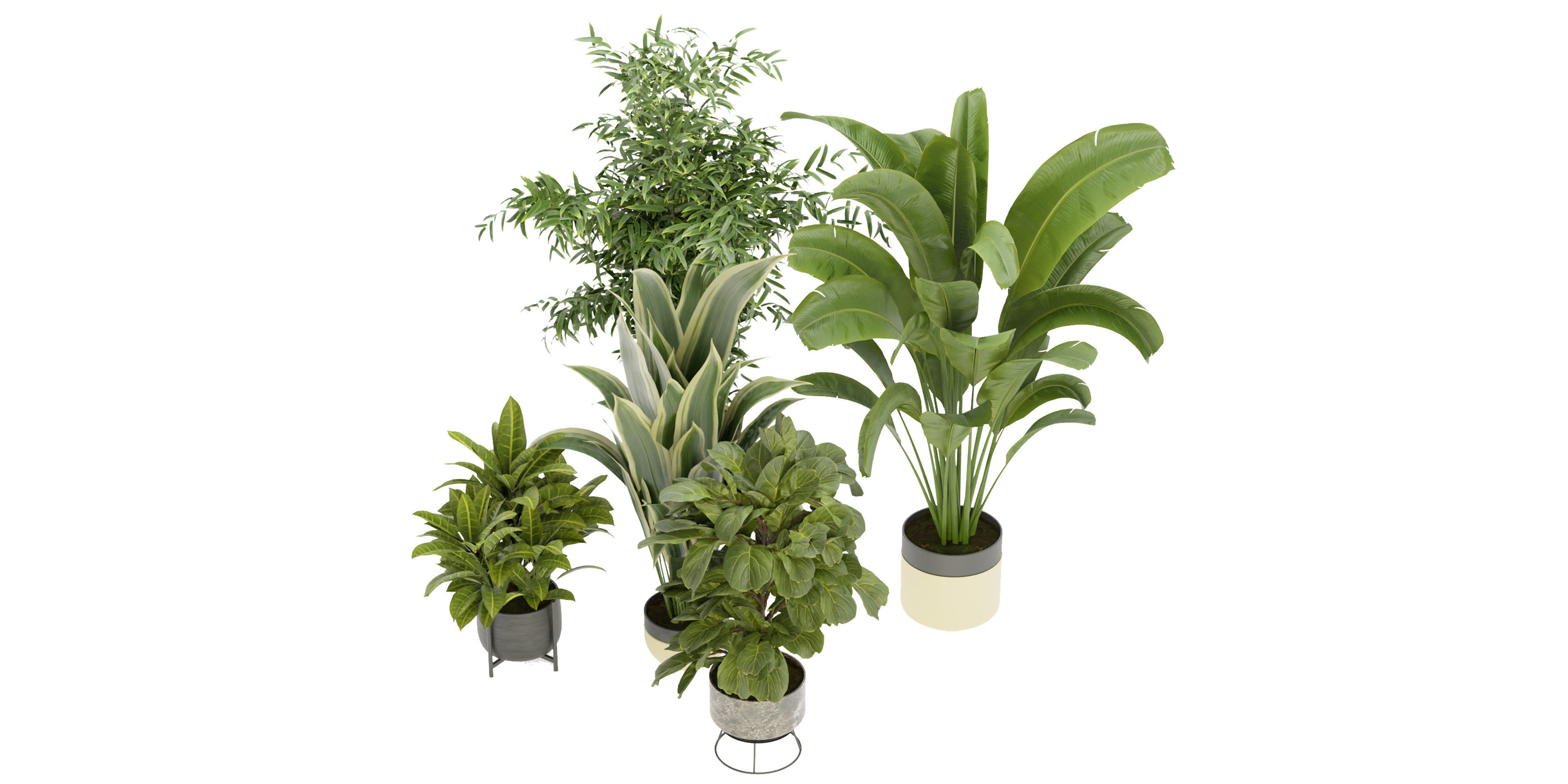 Collection plant vol 353 - blender model 3D model | CGTrader