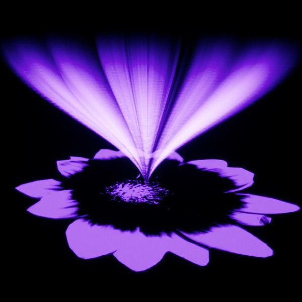 3D model Unreal engine 5 particles different style flower FX animation ...