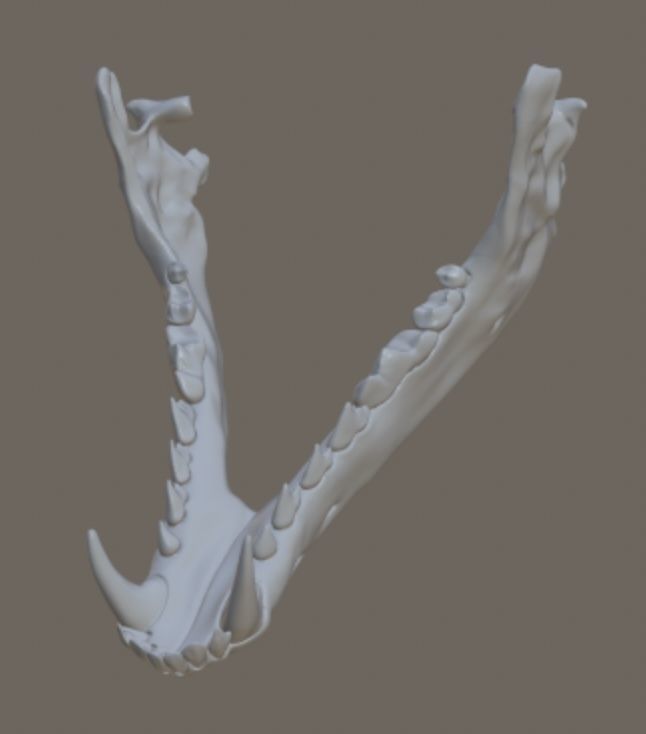 Wendigo skull 2022 version 3D model 3D printable | CGTrader