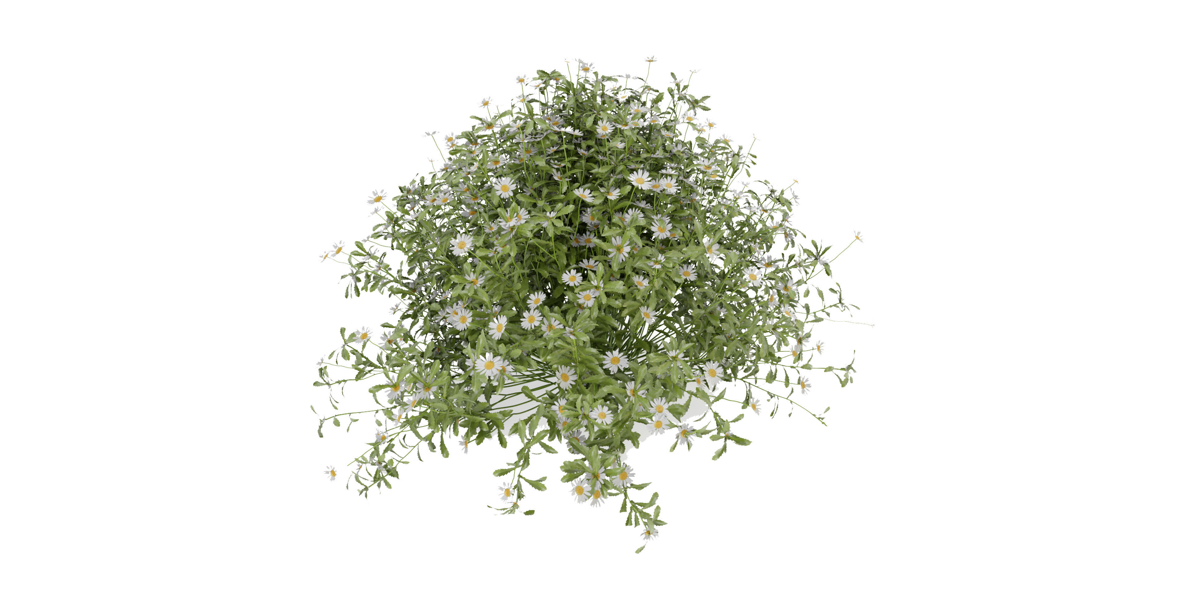 Collection plant vol 377 - blender model 3D model | CGTrader