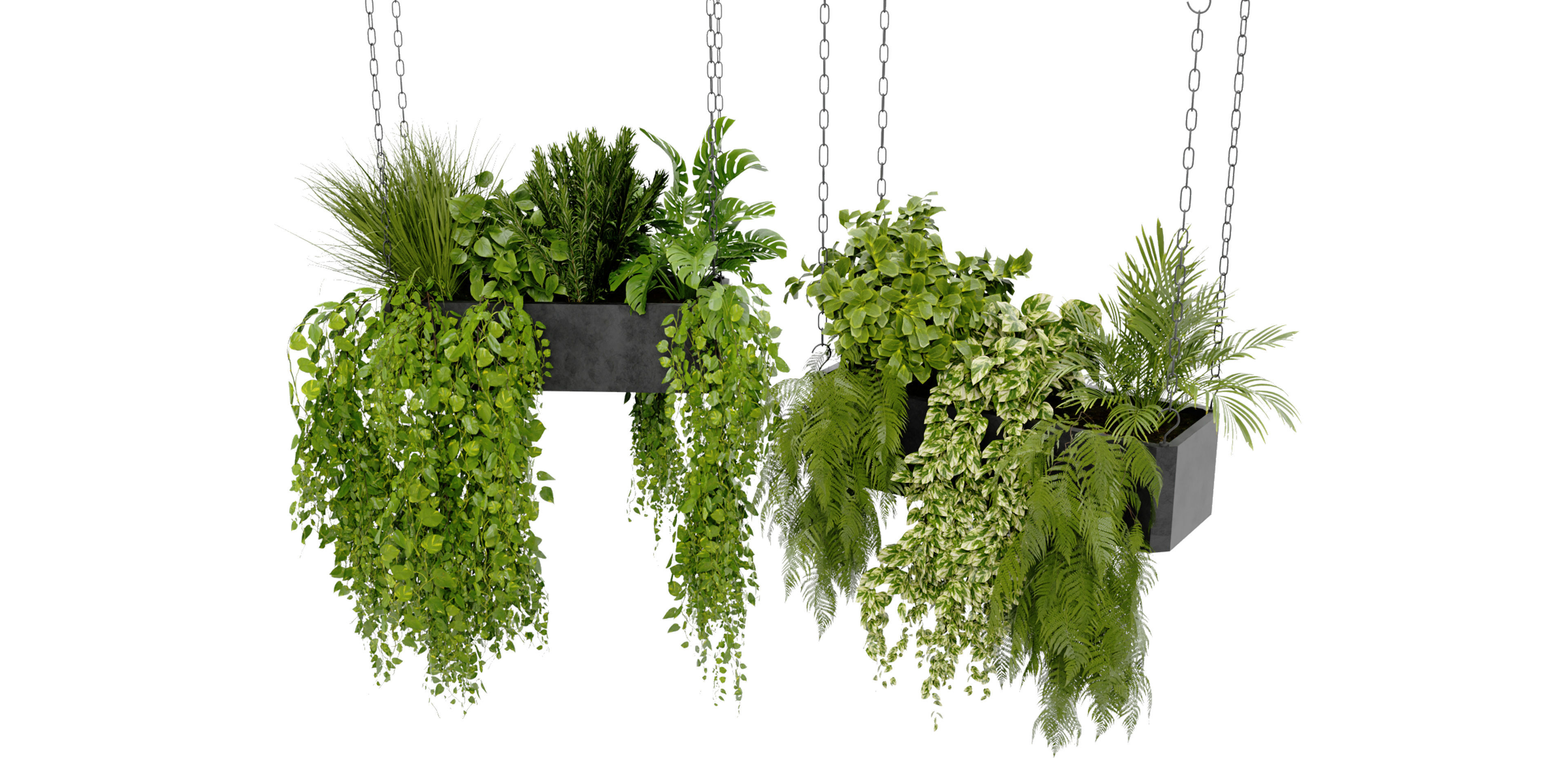 Collection plant vol 391 - blender model 3D model | CGTrader