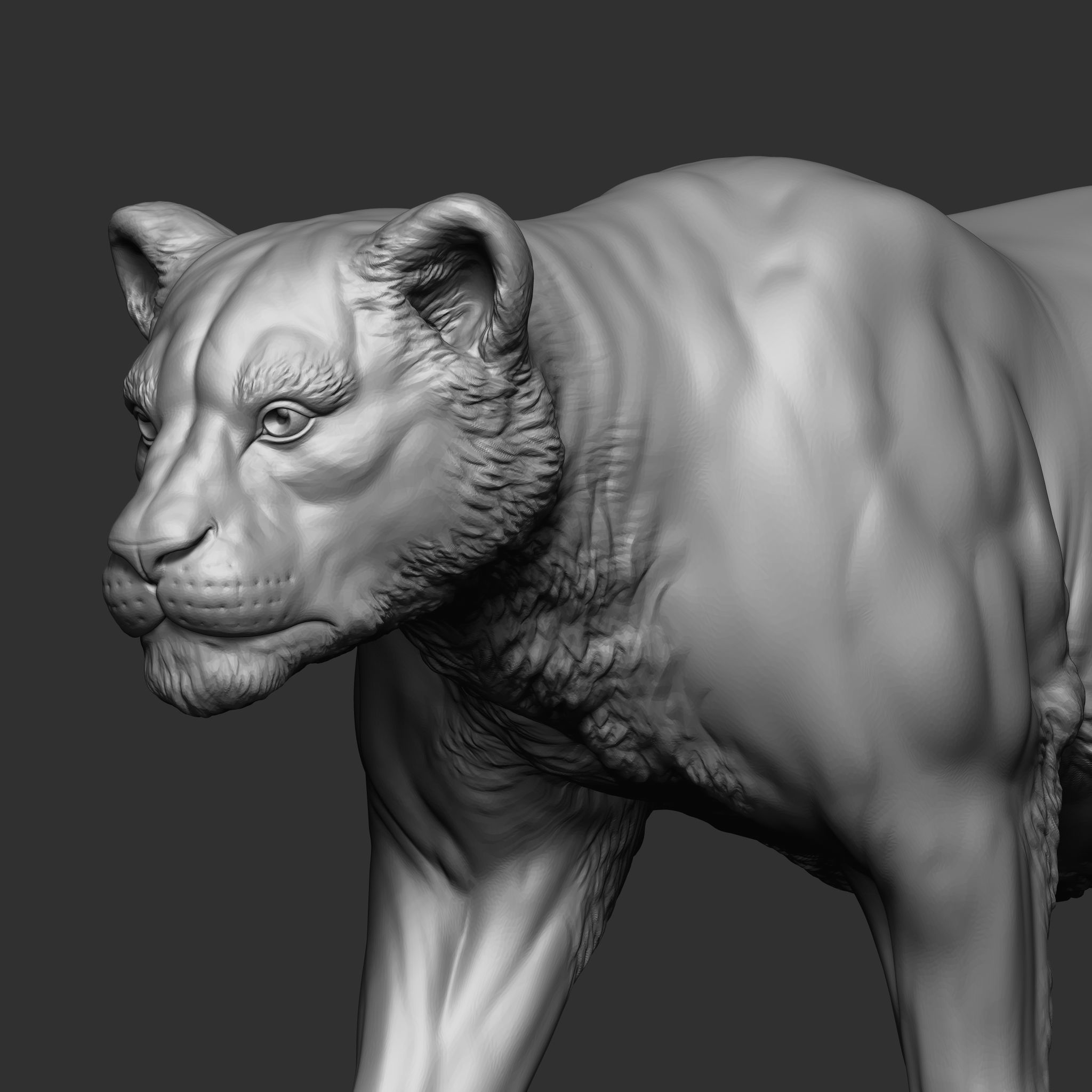 lioness and cub 3D model 3D printable | CGTrader