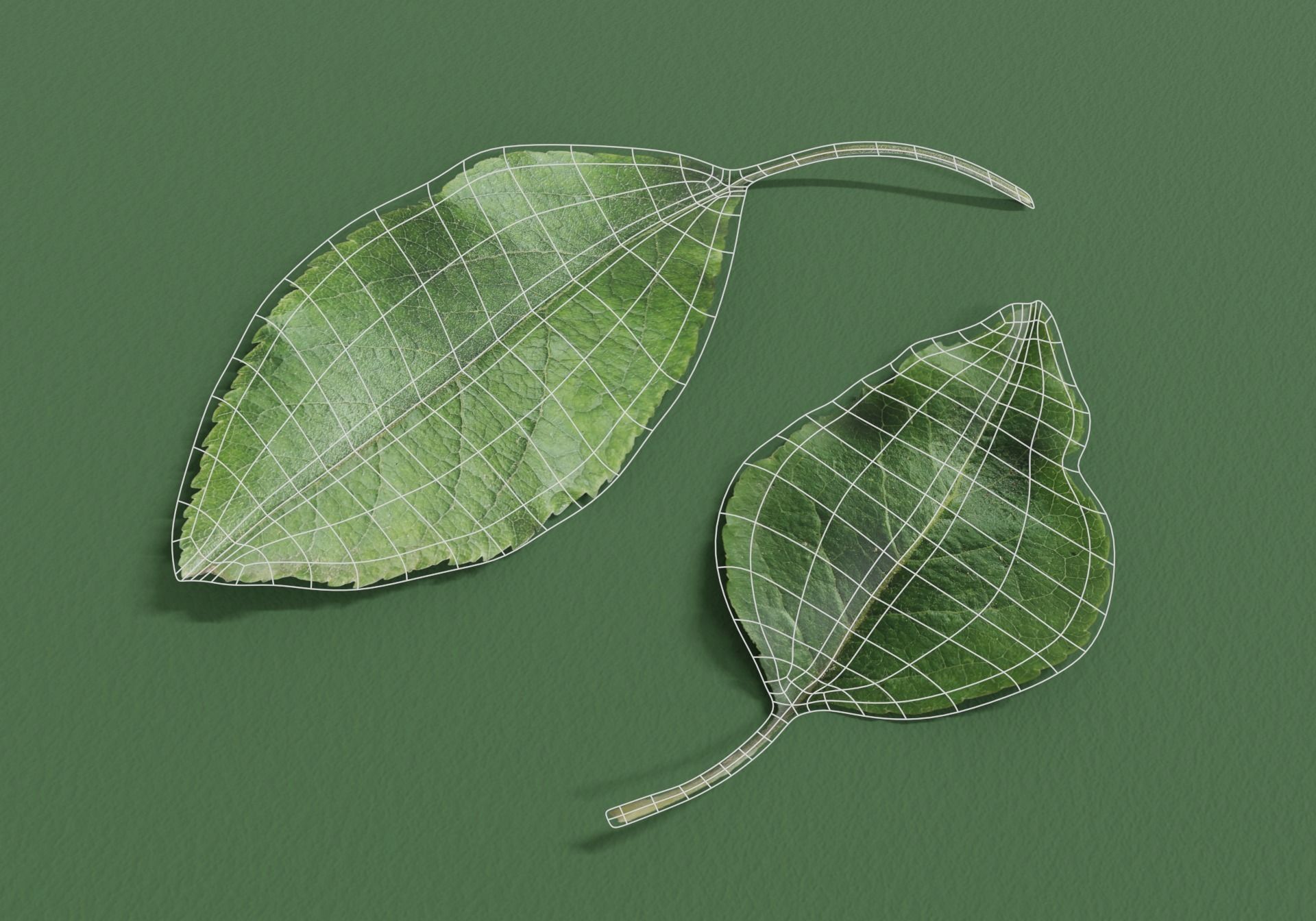 3D model Apple tree leafes VR / AR / low-poly | CGTrader