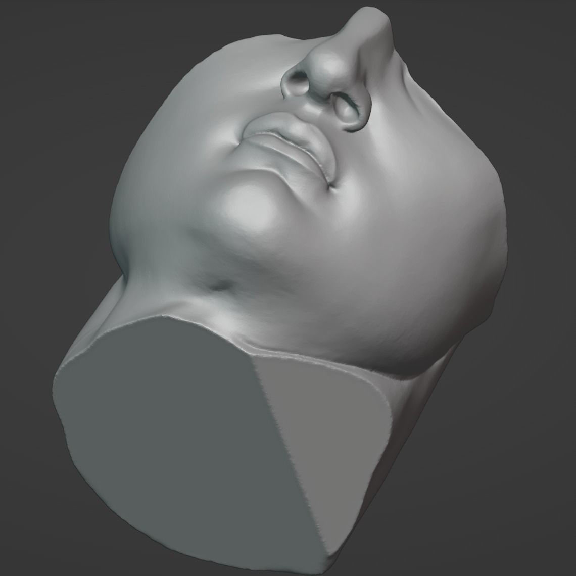 Highly Detailed STL Model of Davide Head Potter for CGTrader 3D model ...