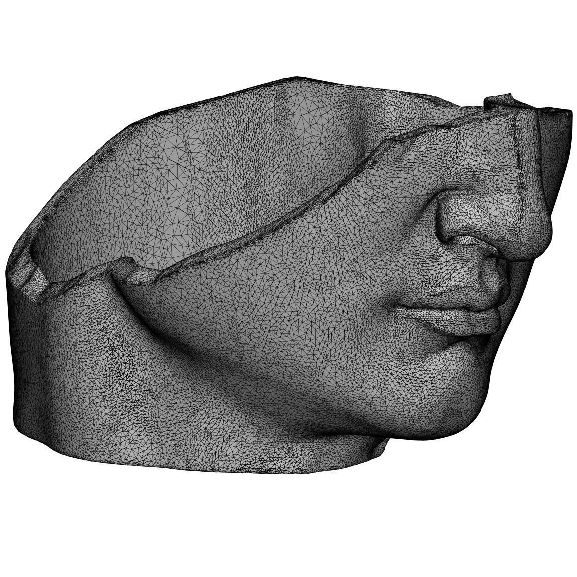 Highly Detailed STL Model of Davide Head Potter for CGTrader 3D model ...