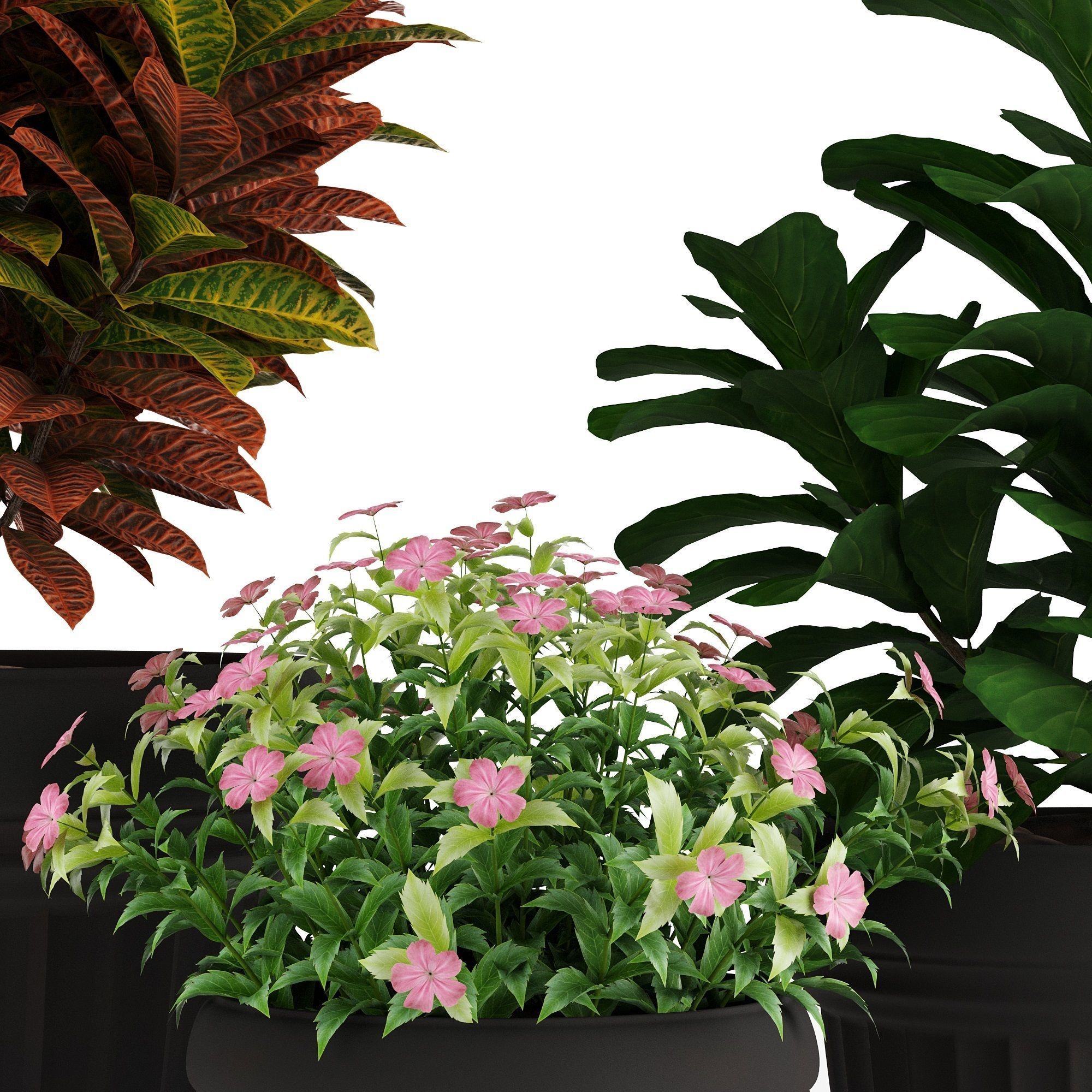 Set 3 Indoor Planters 01 3D model | CGTrader