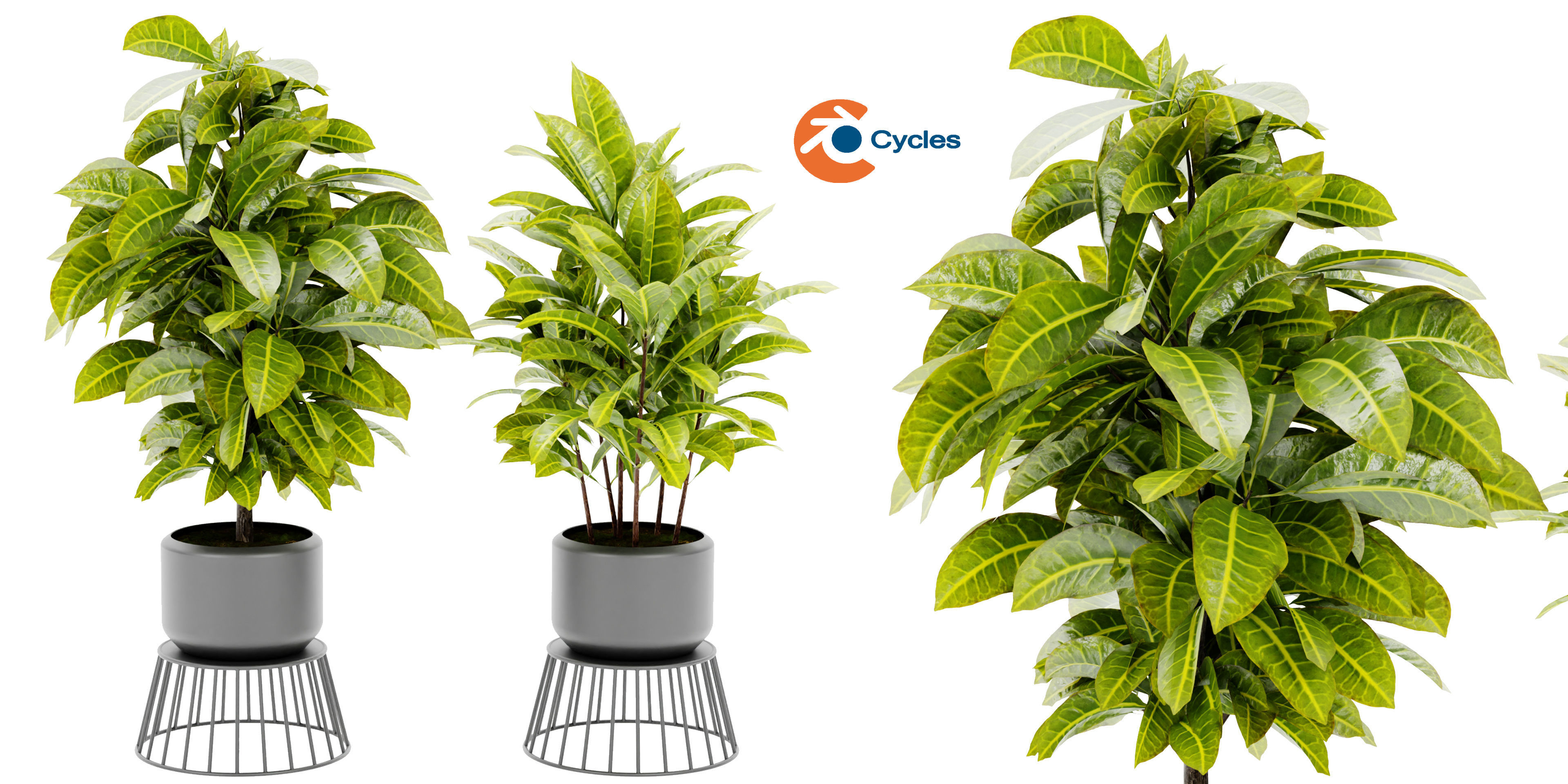 Collection plant vol 393 - blender model 3D model | CGTrader