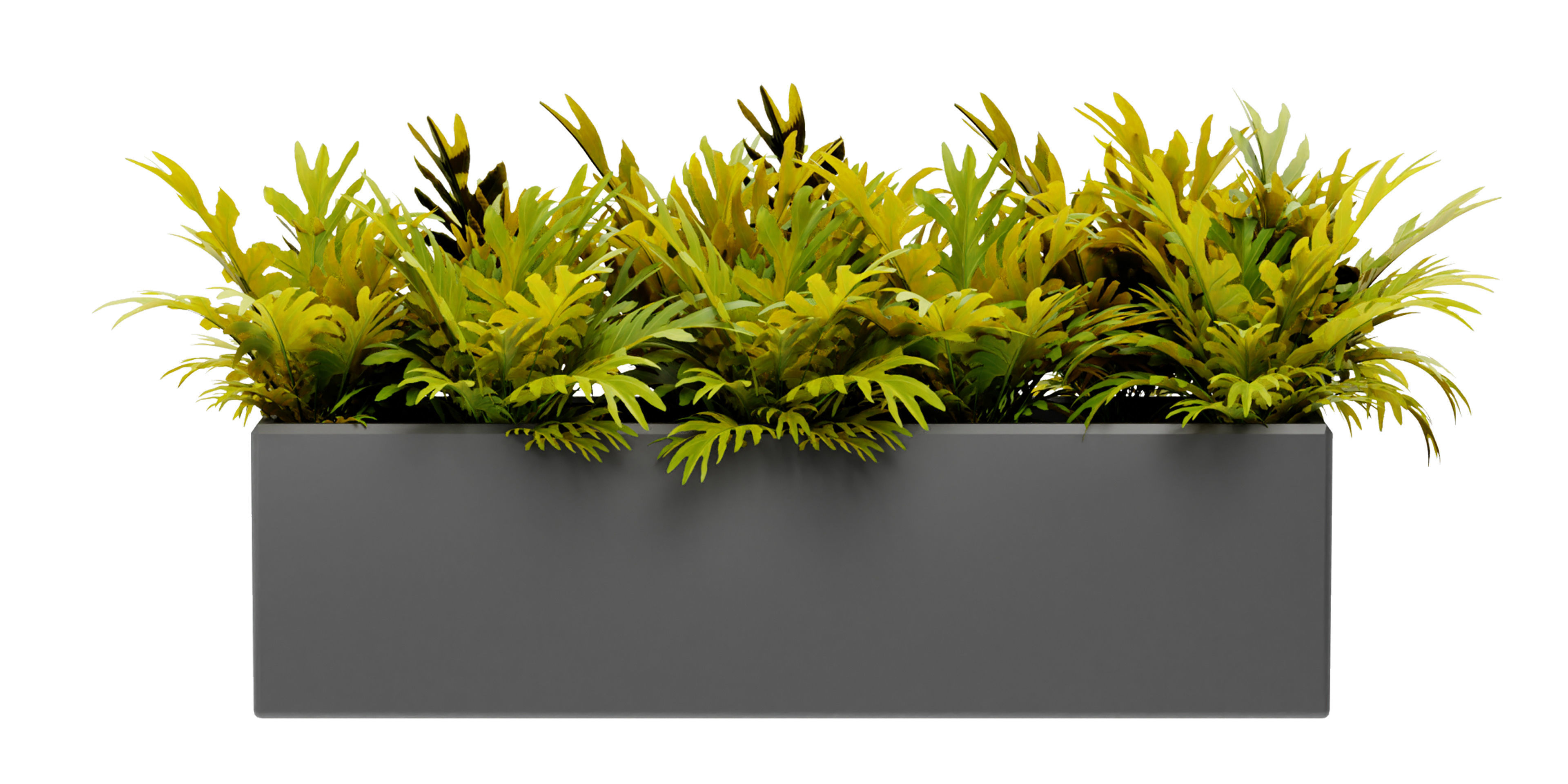 Collection plant vol 410 - blender model 3D model | CGTrader