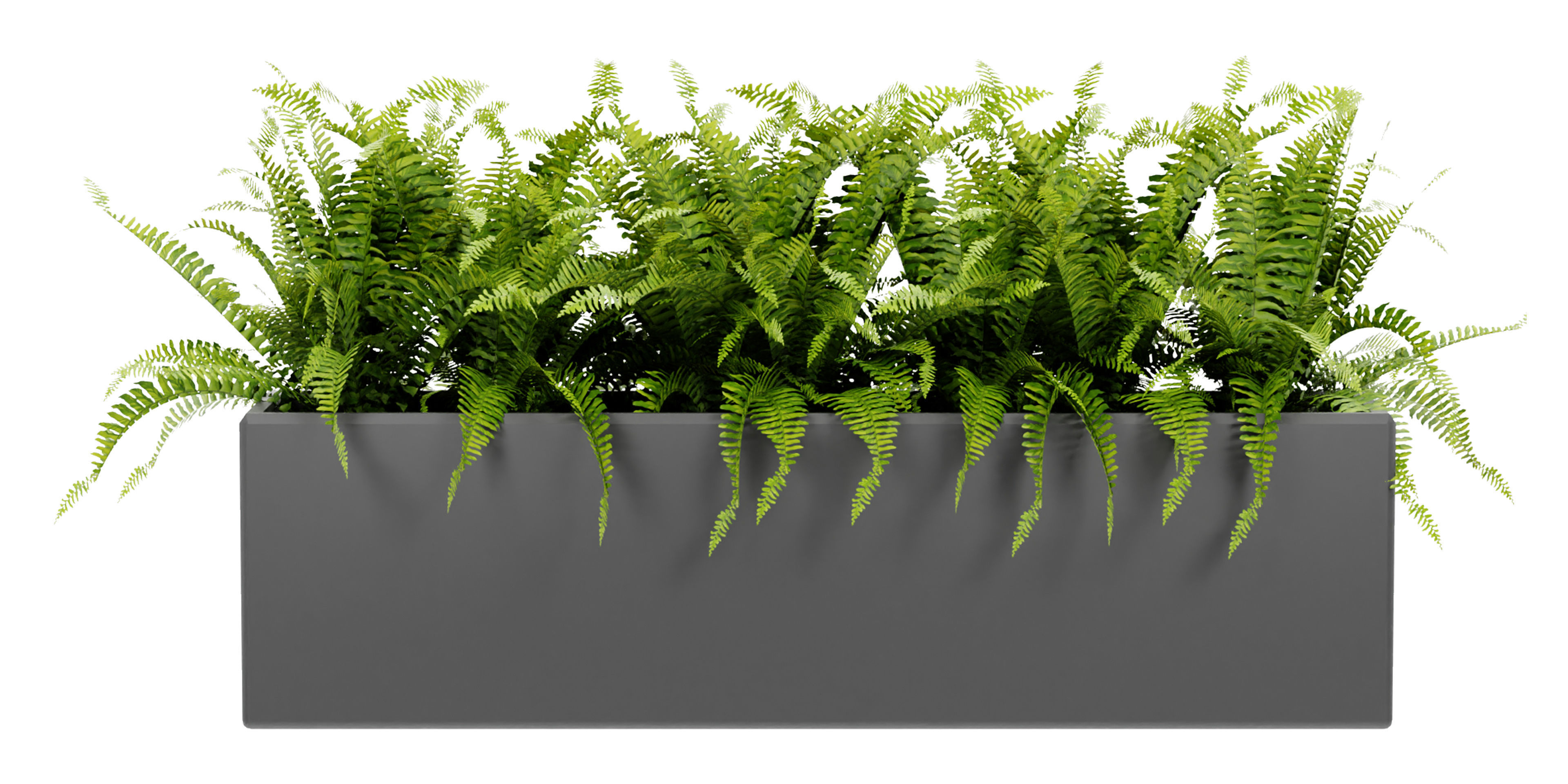 Collection plant vol 410 - blender model 3D model | CGTrader