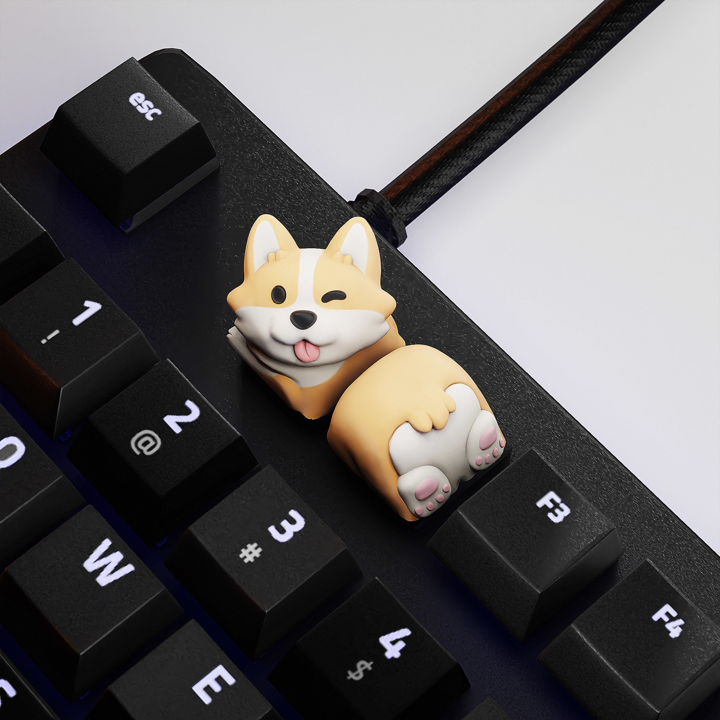 Puppy Corgi keycaps - Mechanical Keyboard 3D model 3D printable | CGTrader
