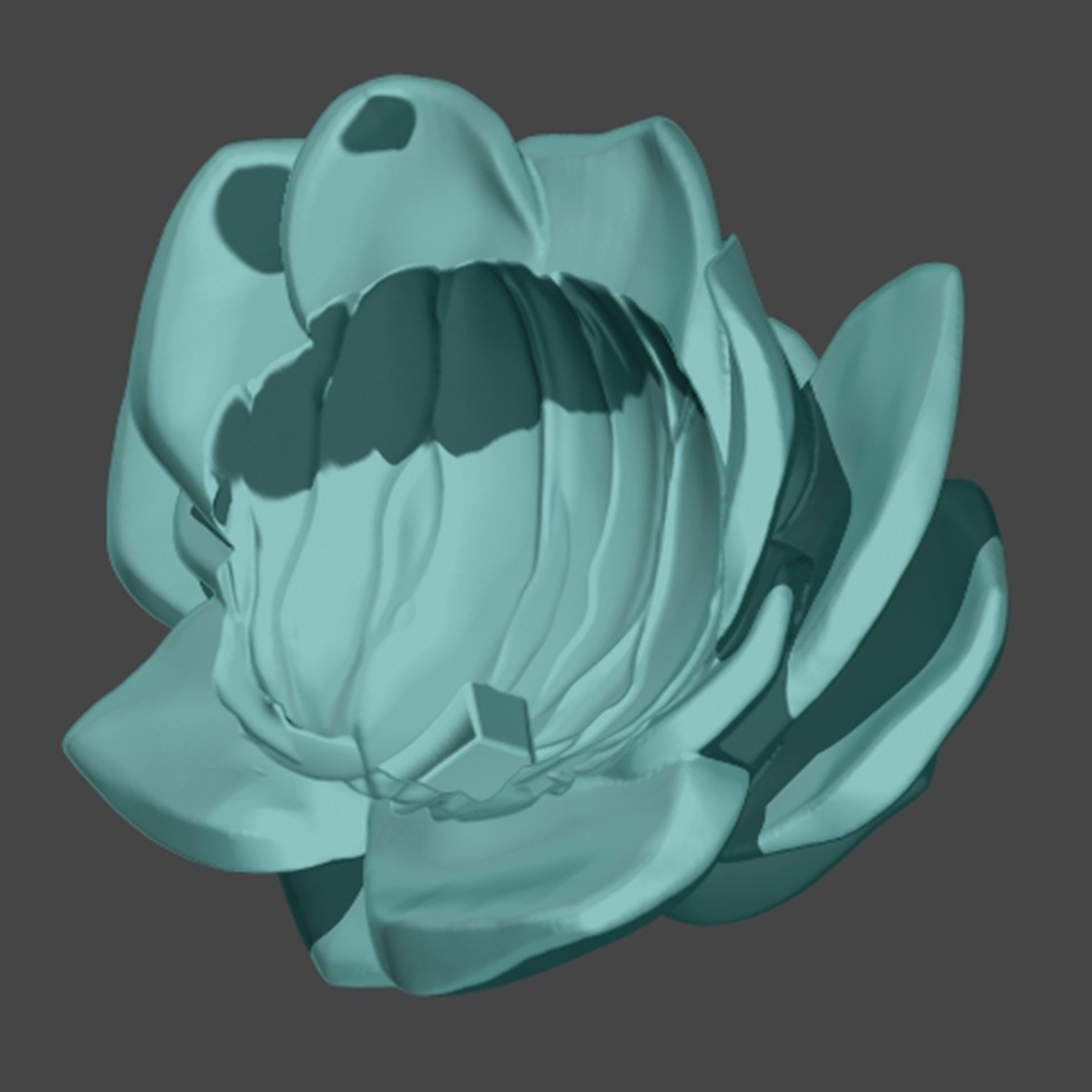 SUCCULENT SORCERER free 3D model 3D printable | CGTrader