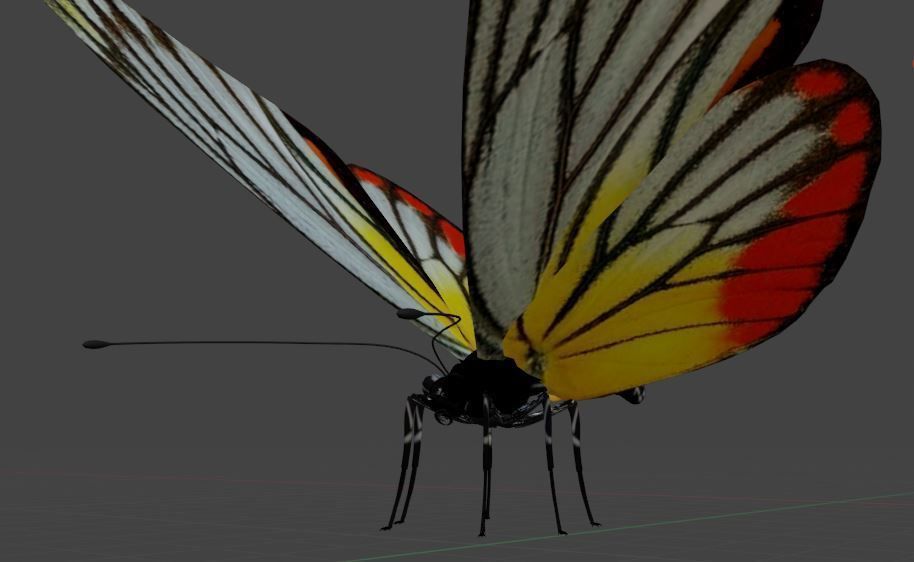 3D model Fluttering butterfly VR / AR / low-poly | CGTrader