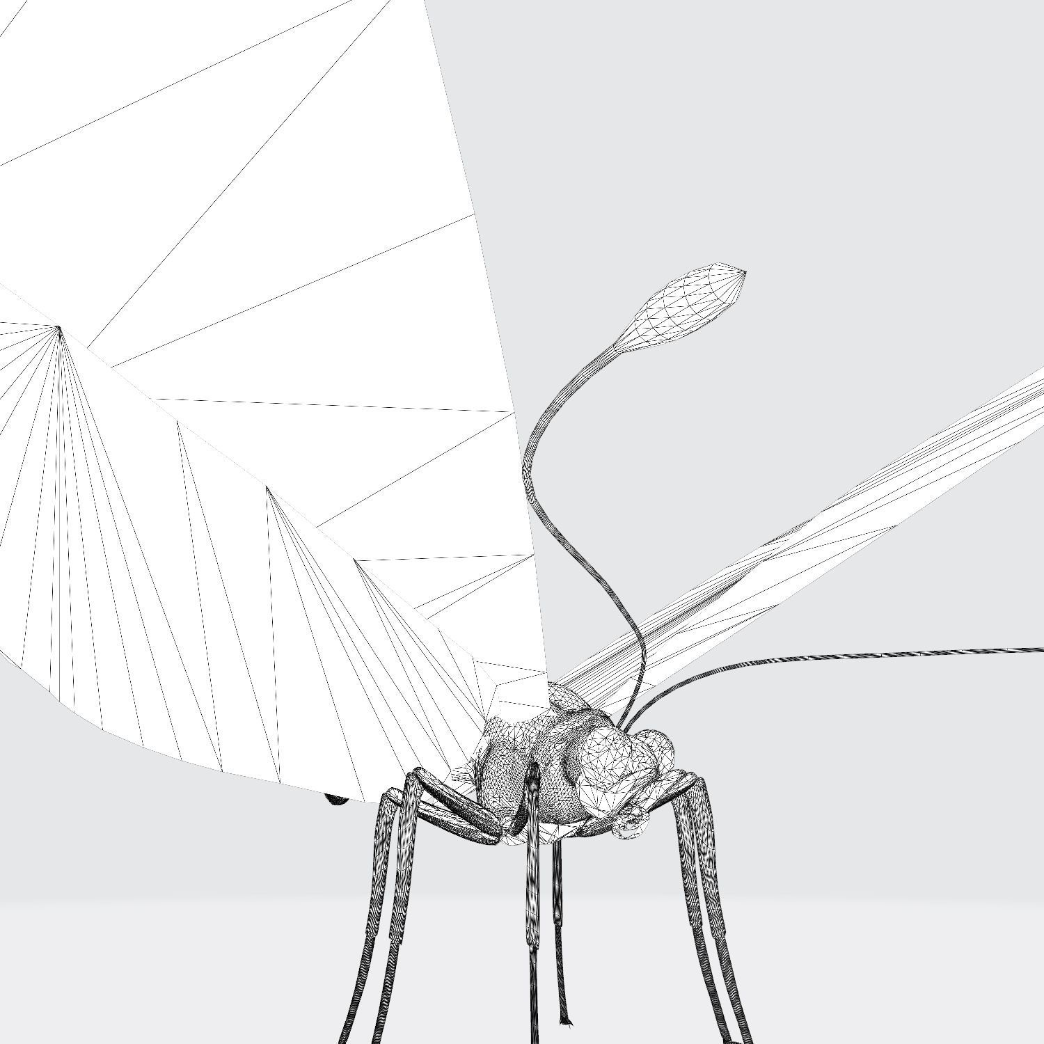 3D model Fluttering butterfly VR / AR / low-poly | CGTrader