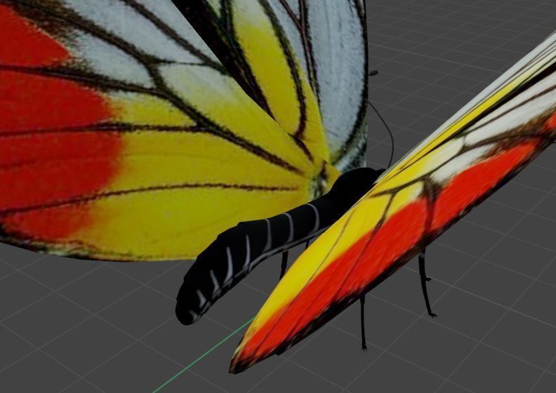 3D model Fluttering butterfly VR / AR / low-poly | CGTrader