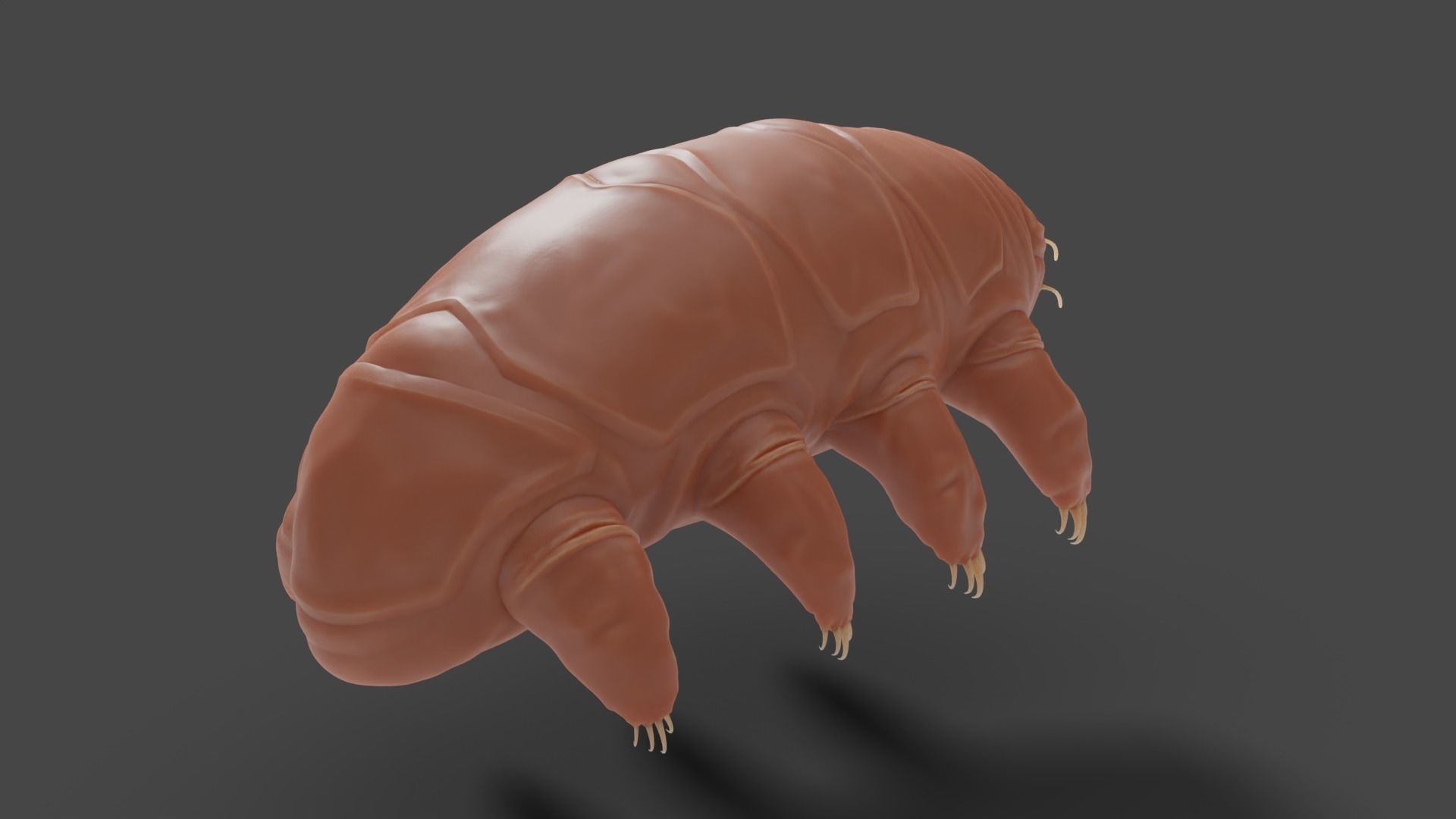 3D Tardigrade Sculpture Model 3D model | CGTrader