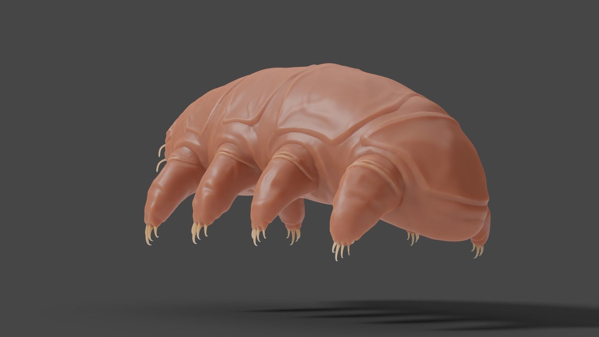 3D Tardigrade Sculpture Model 3D model | CGTrader