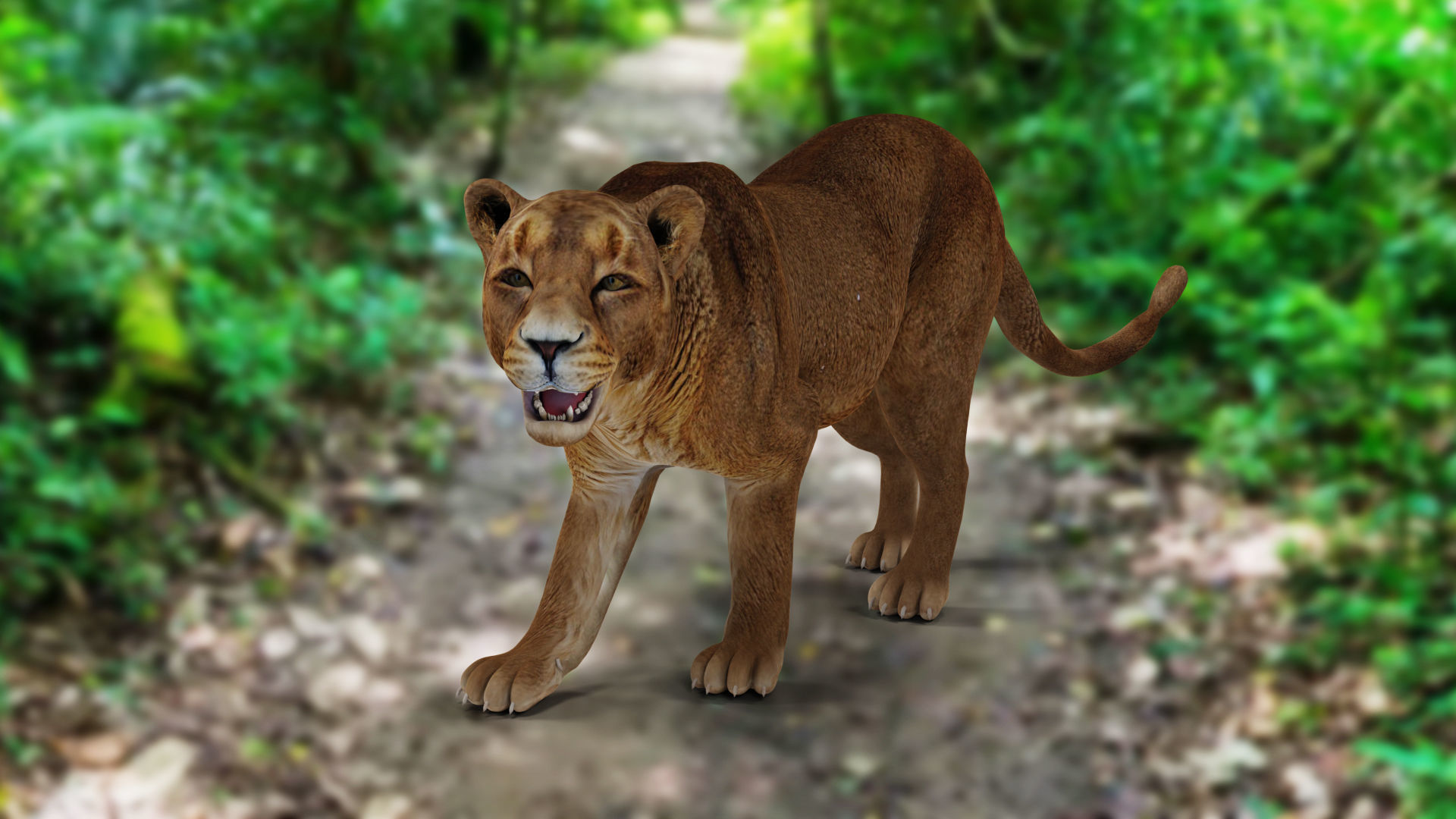 3D model Lioness Rigged and Animation V02 in Blender Unity VR / AR ...