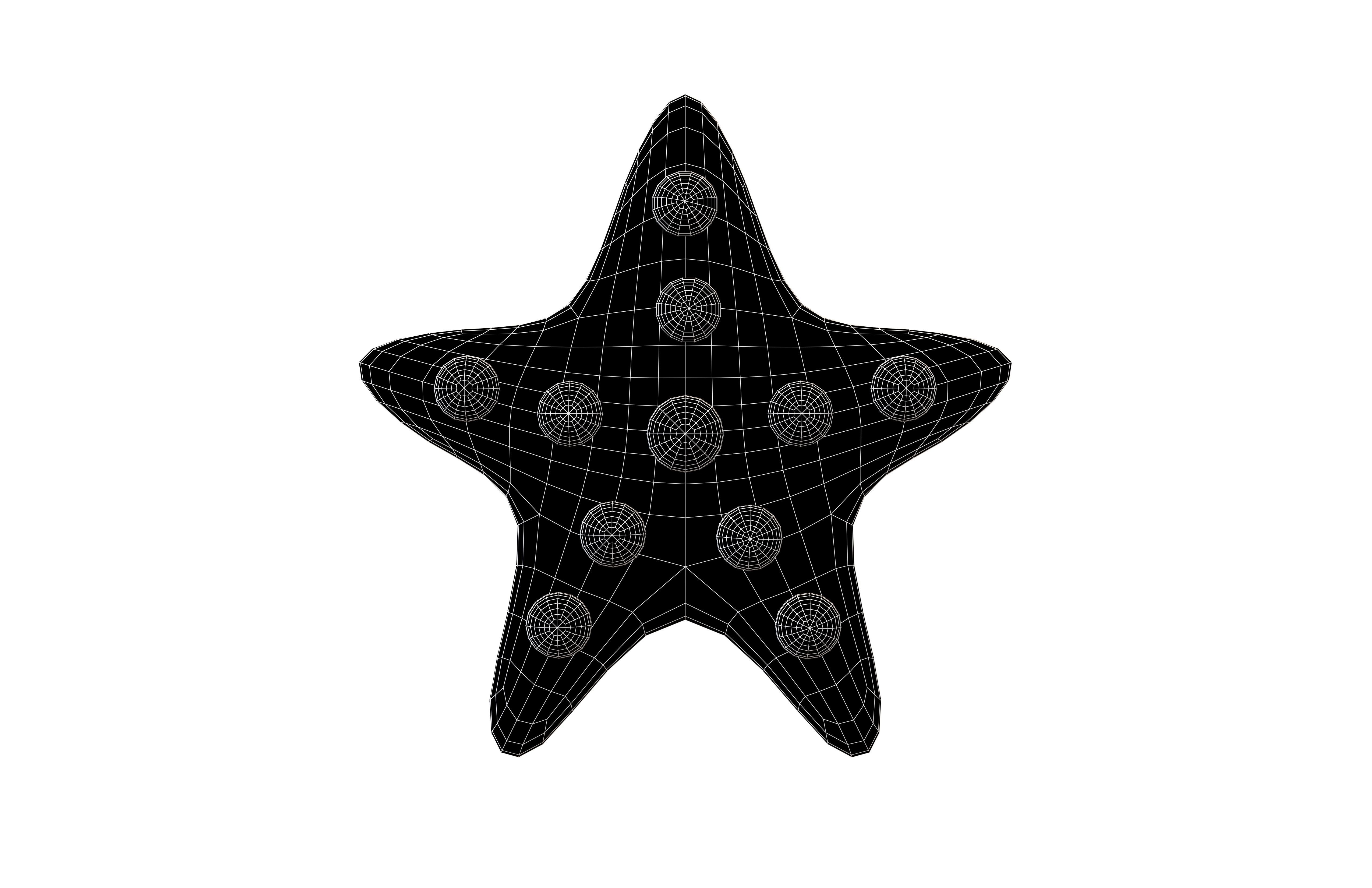 3D model Starfish V1 006 VR / AR / low-poly | CGTrader