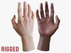 3D model Realistic Human Hand - Rigged VR / AR / low-poly | CGTrader