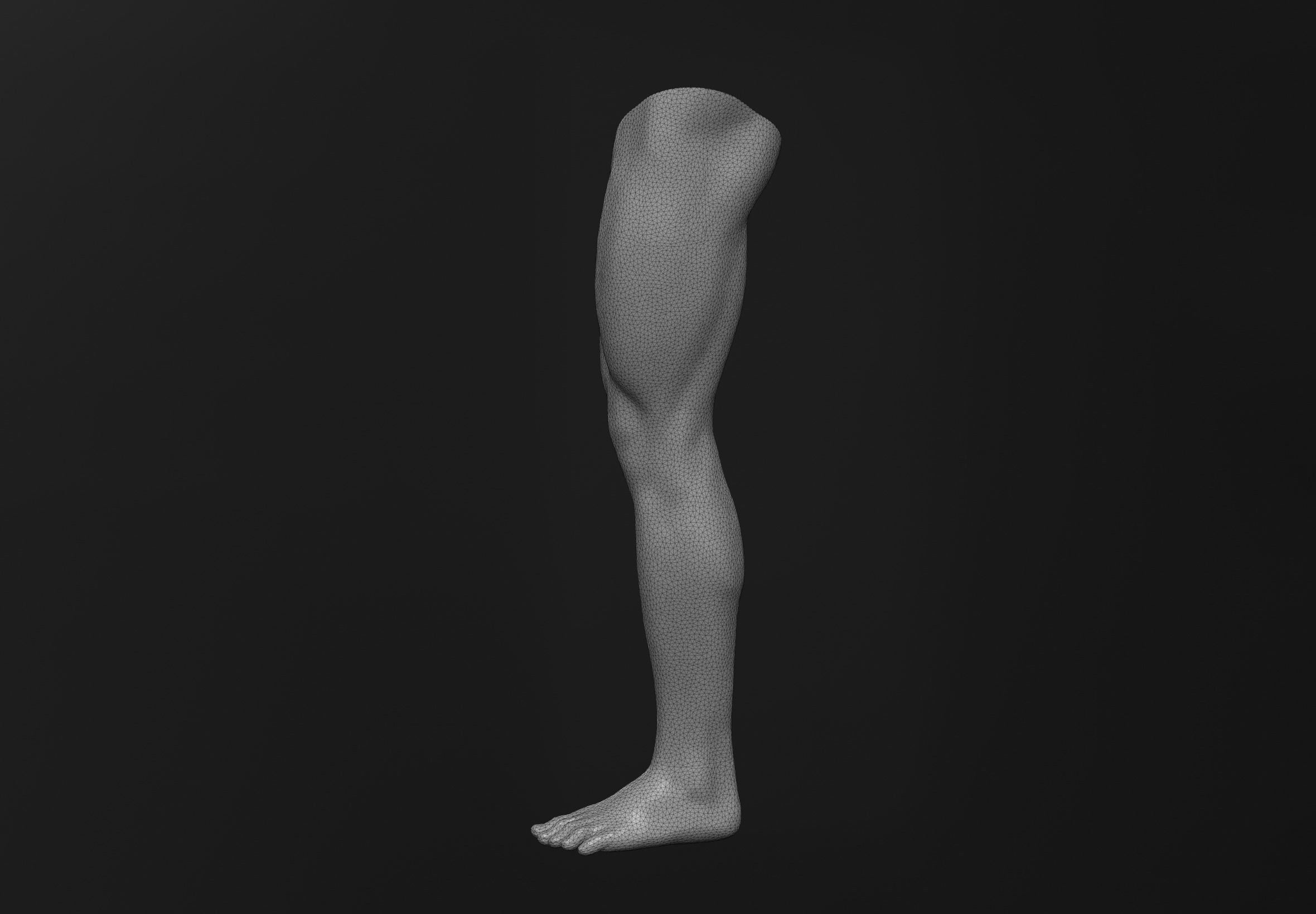 Male Leg 3D model | CGTrader