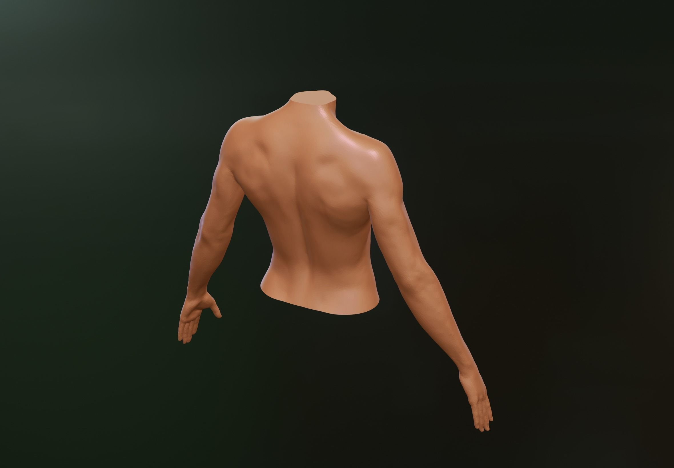 Muscular Female Torso with Arms 3D model | CGTrader