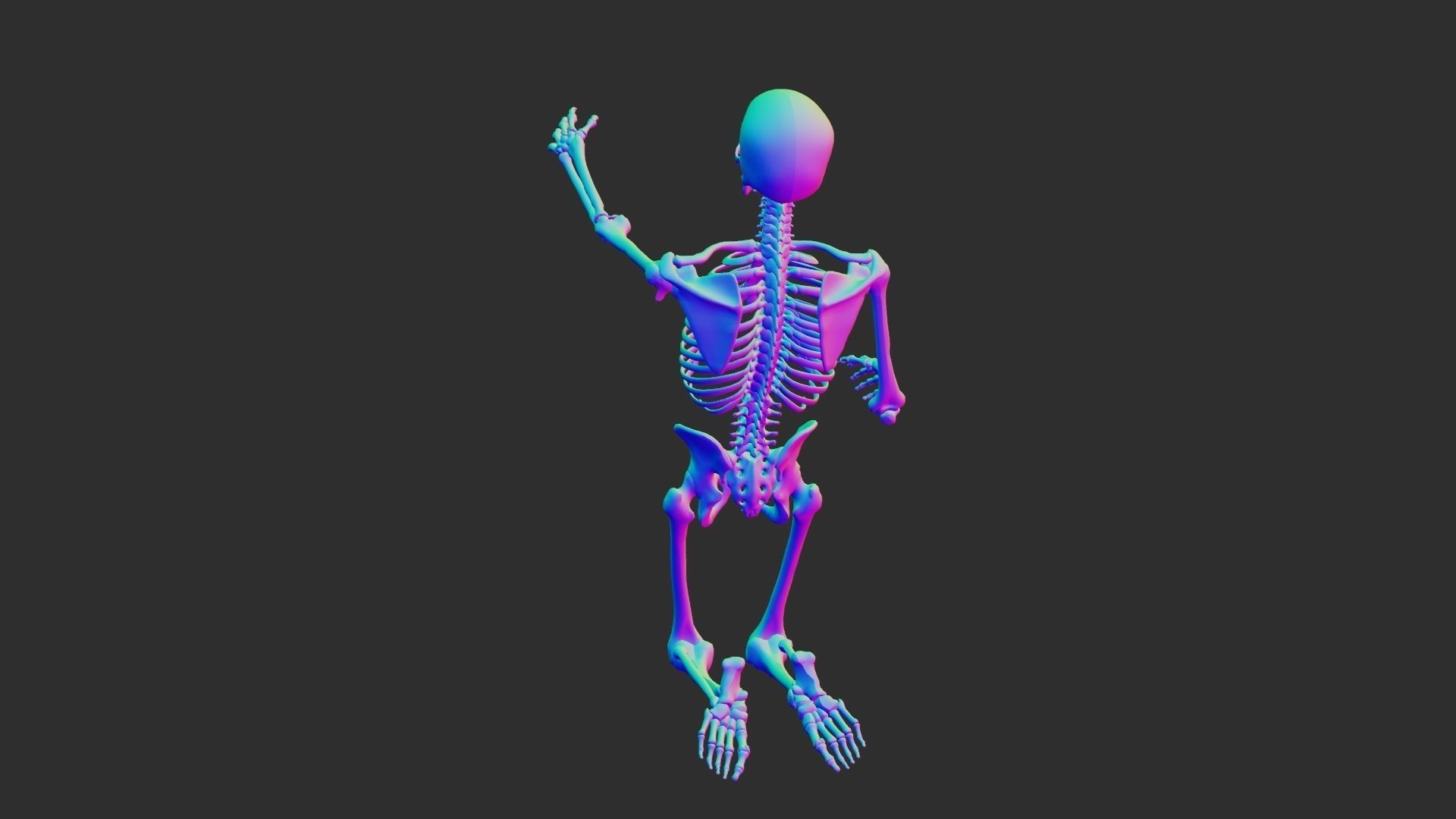 skeleton free VR / AR / low-poly 3D model | CGTrader