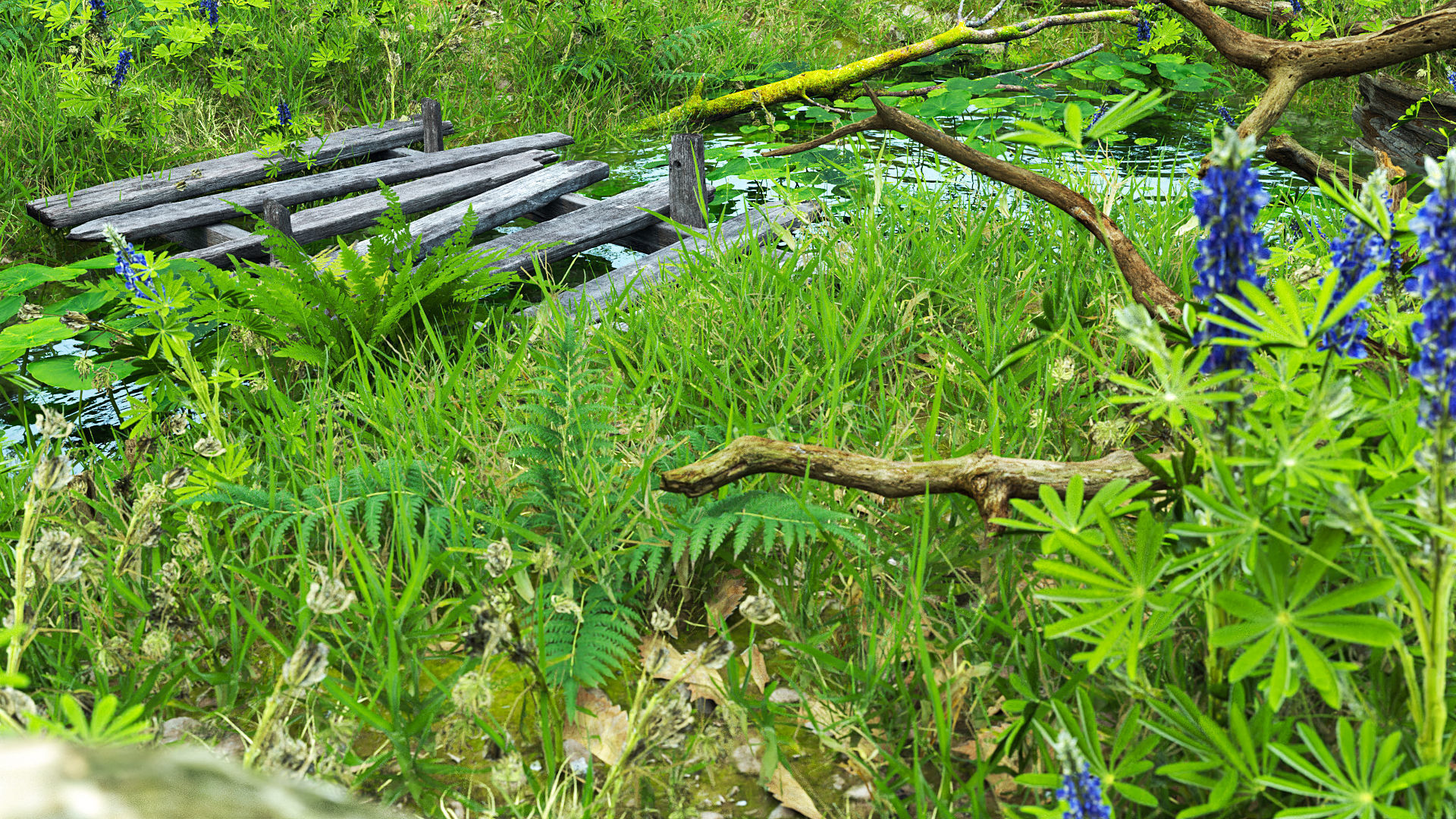 Small Pond - Full Model Sketchup - V-ray Render 3D model | CGTrader