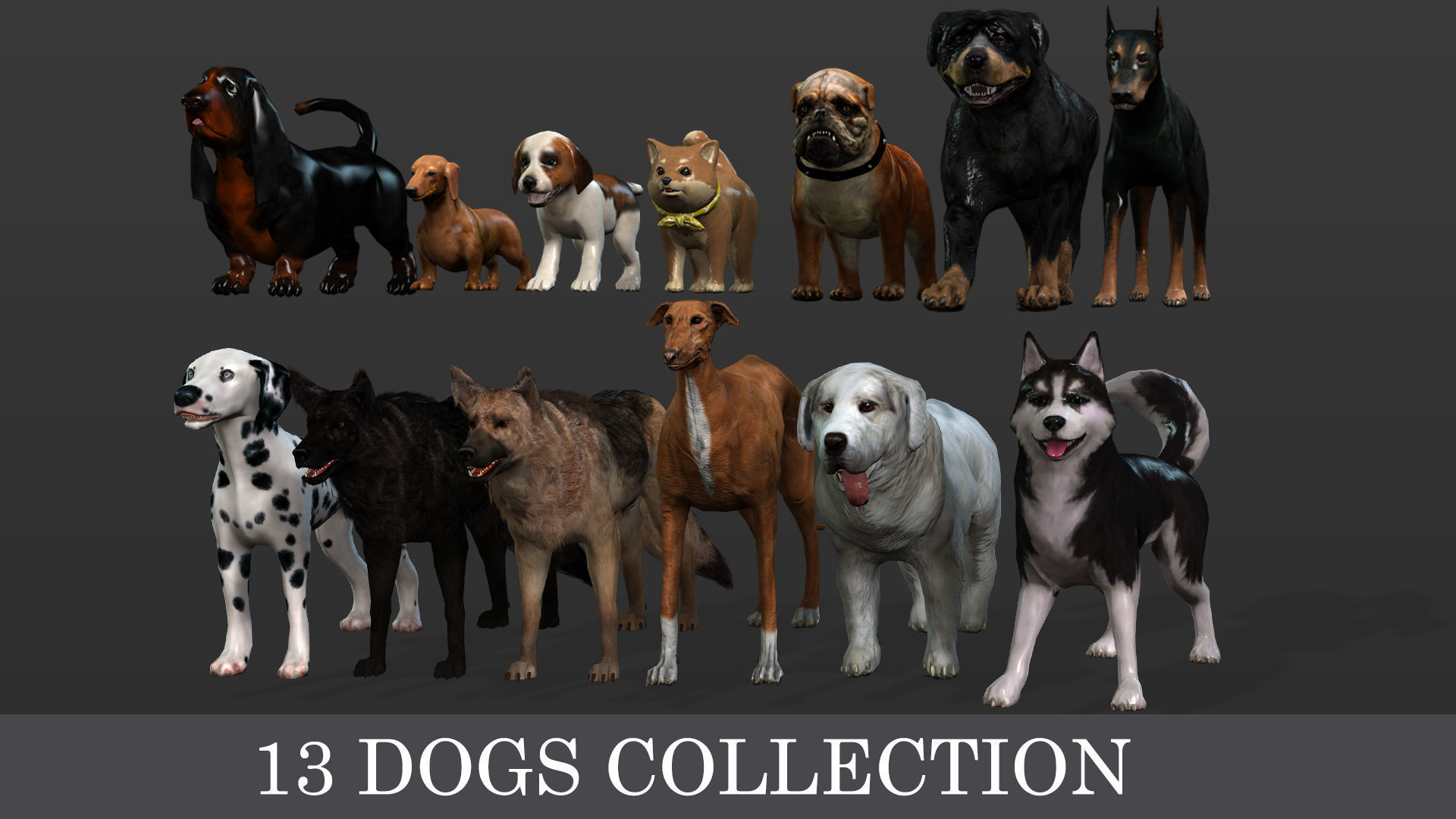 3D model 13 Dogs Pack 3D Model Collection VR / AR / low-poly | CGTrader