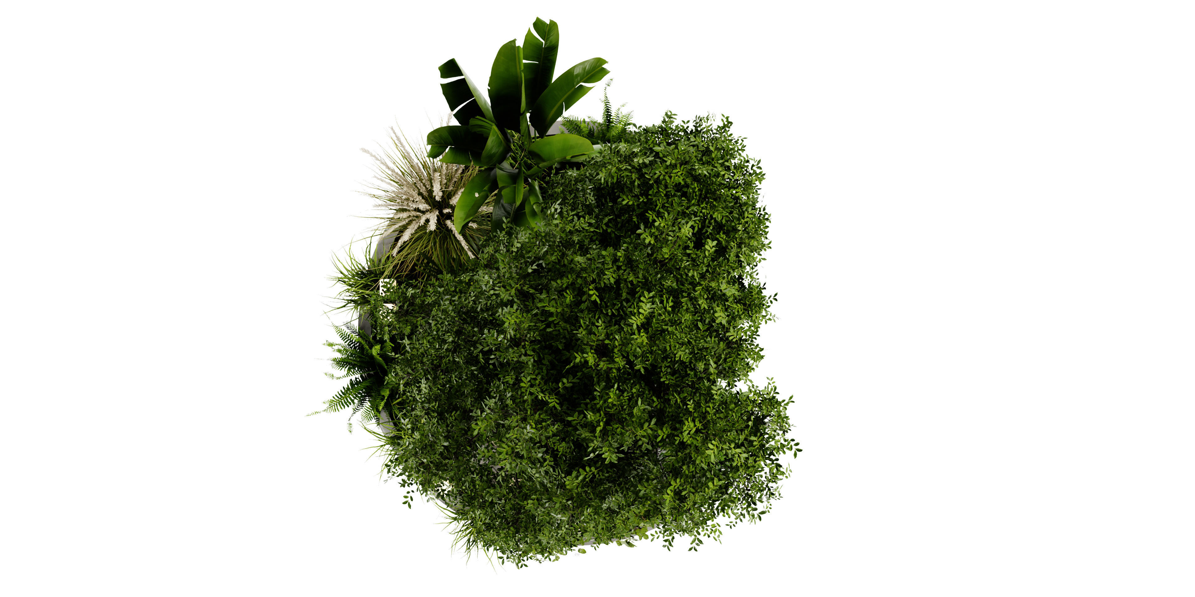 Collection plant vol 418 - blender model 3D model | CGTrader