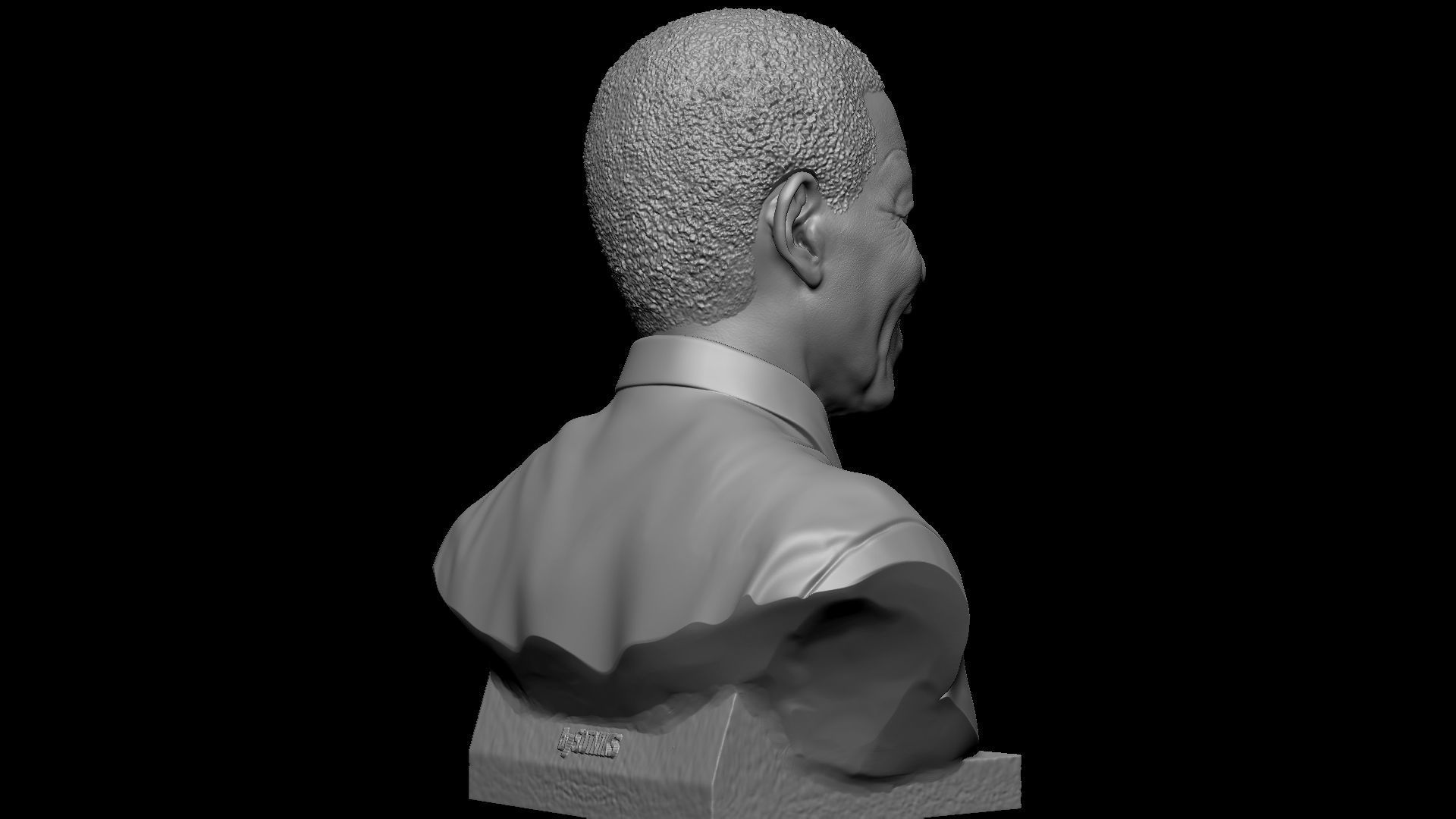 Nelson Mandela 3D model 3D printable | CGTrader