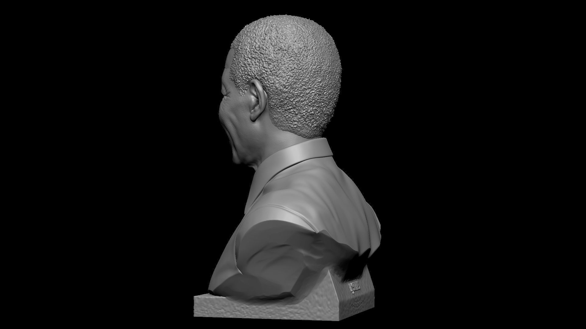 Nelson Mandela 3D model 3D printable | CGTrader