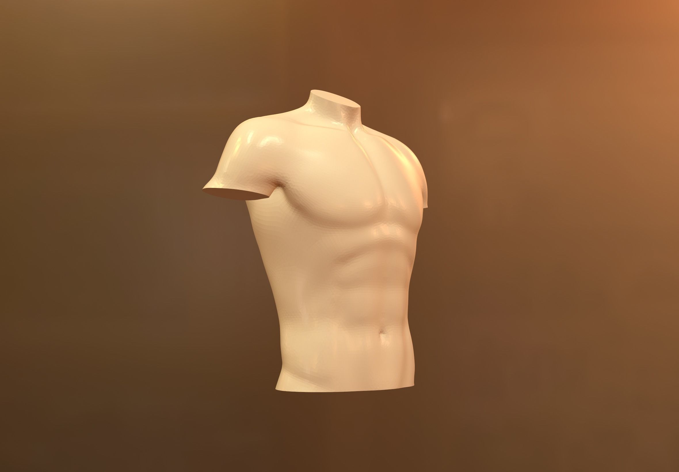 Anime Torso Male 3D model | CGTrader