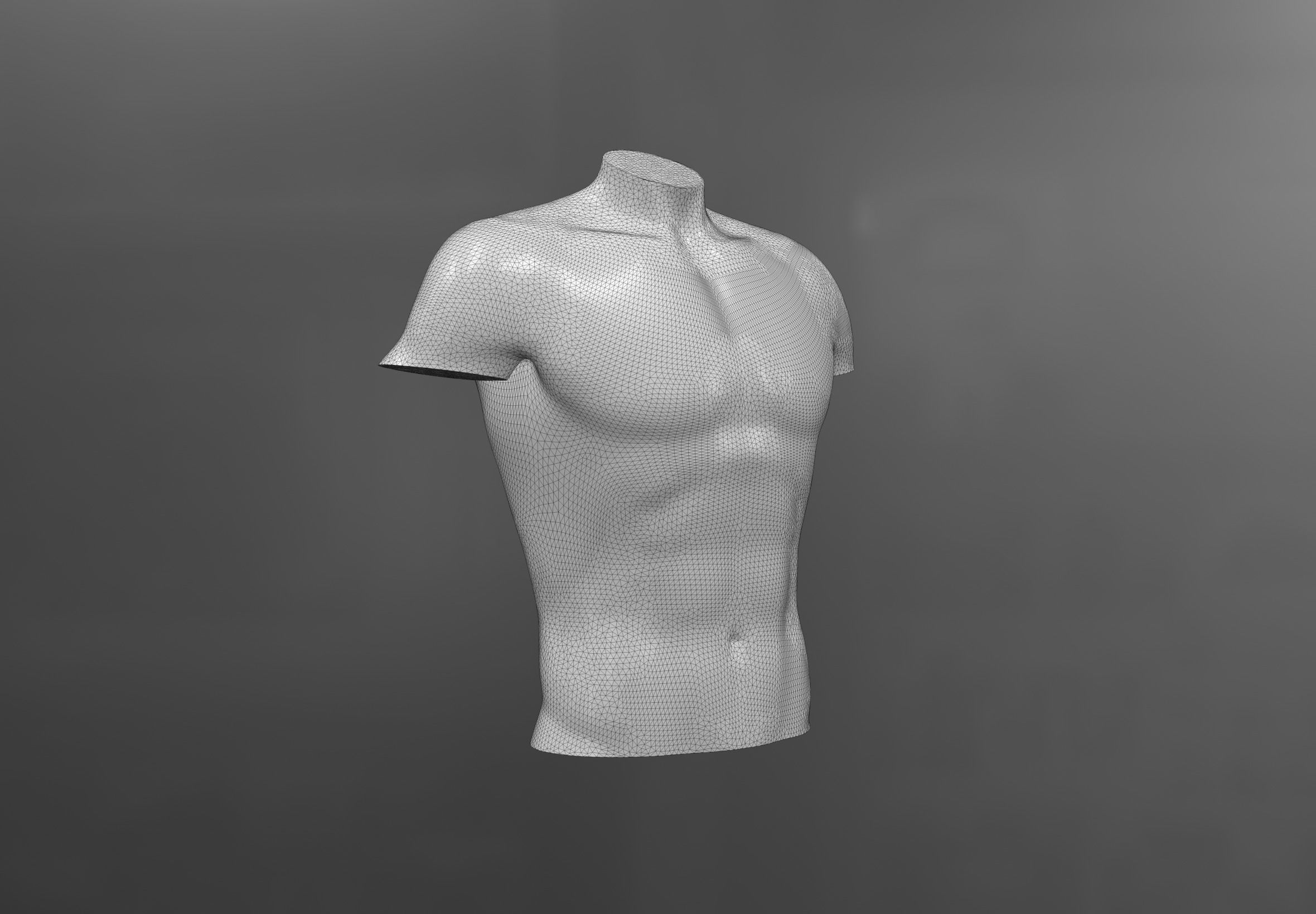 Anime Torso Male 3D model | CGTrader