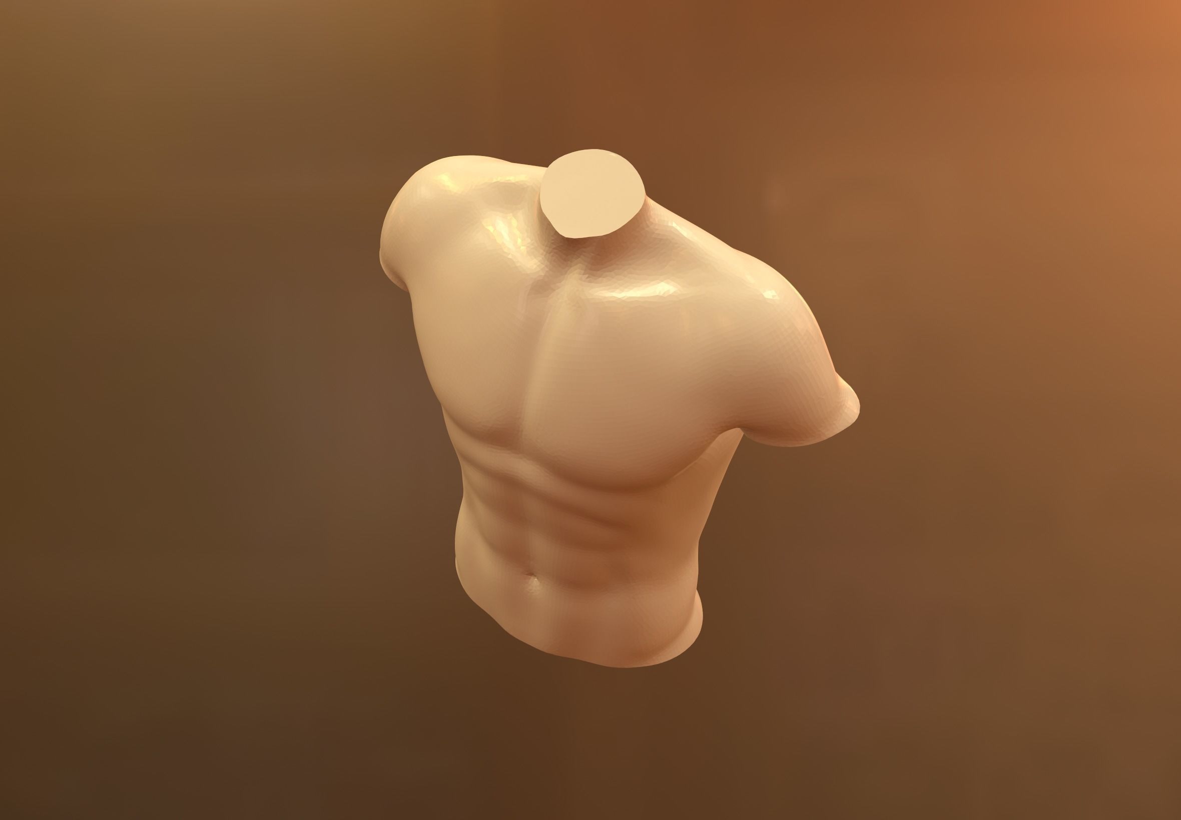 Anime Torso Male 3D model | CGTrader