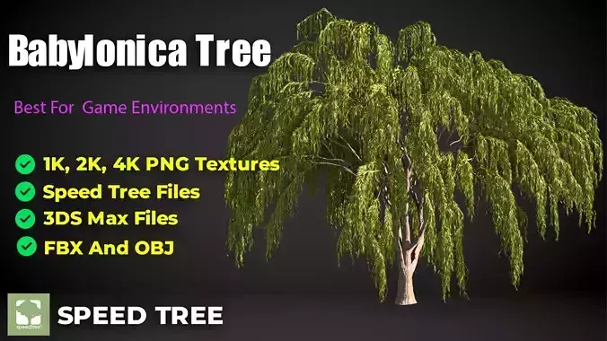 Babylonica Tree 3D model | CGTrader