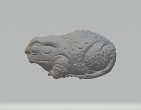 Toad 3D Print Models | CGTrader