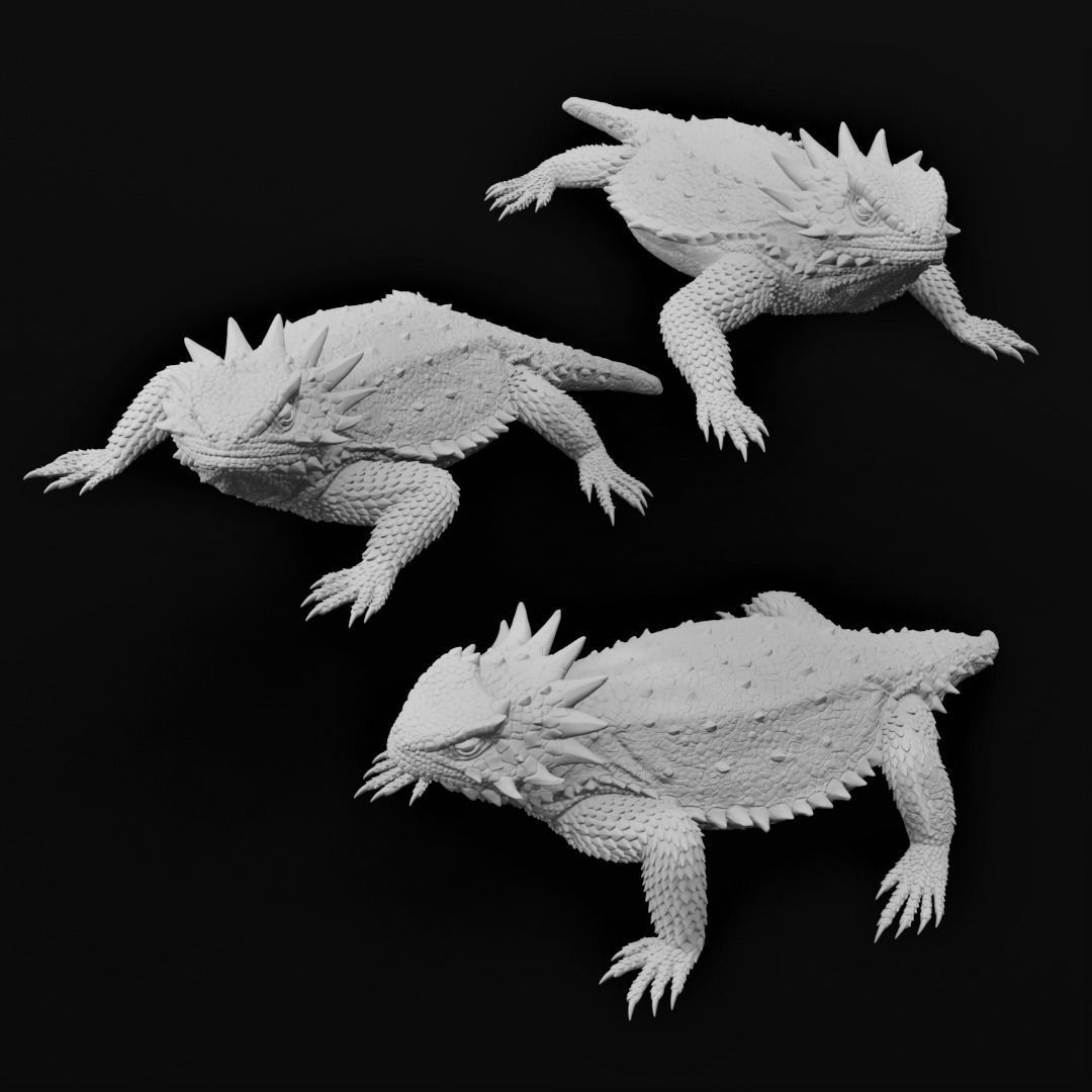 Regal Horned Lizard - Phrynosoma solare 3D Print 3D model 3D printable ...