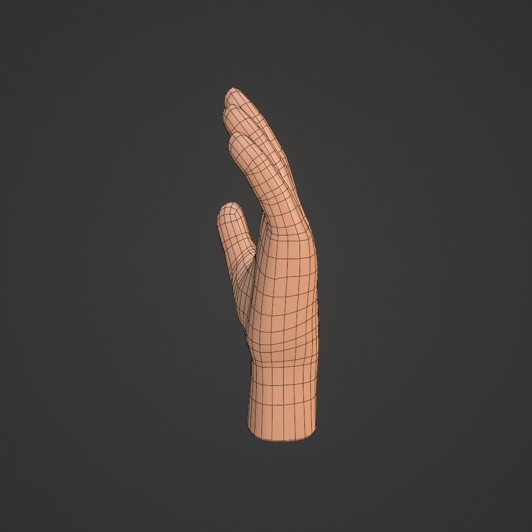 Simple Cartoon hand rigged free 3D model rigged | CGTrader