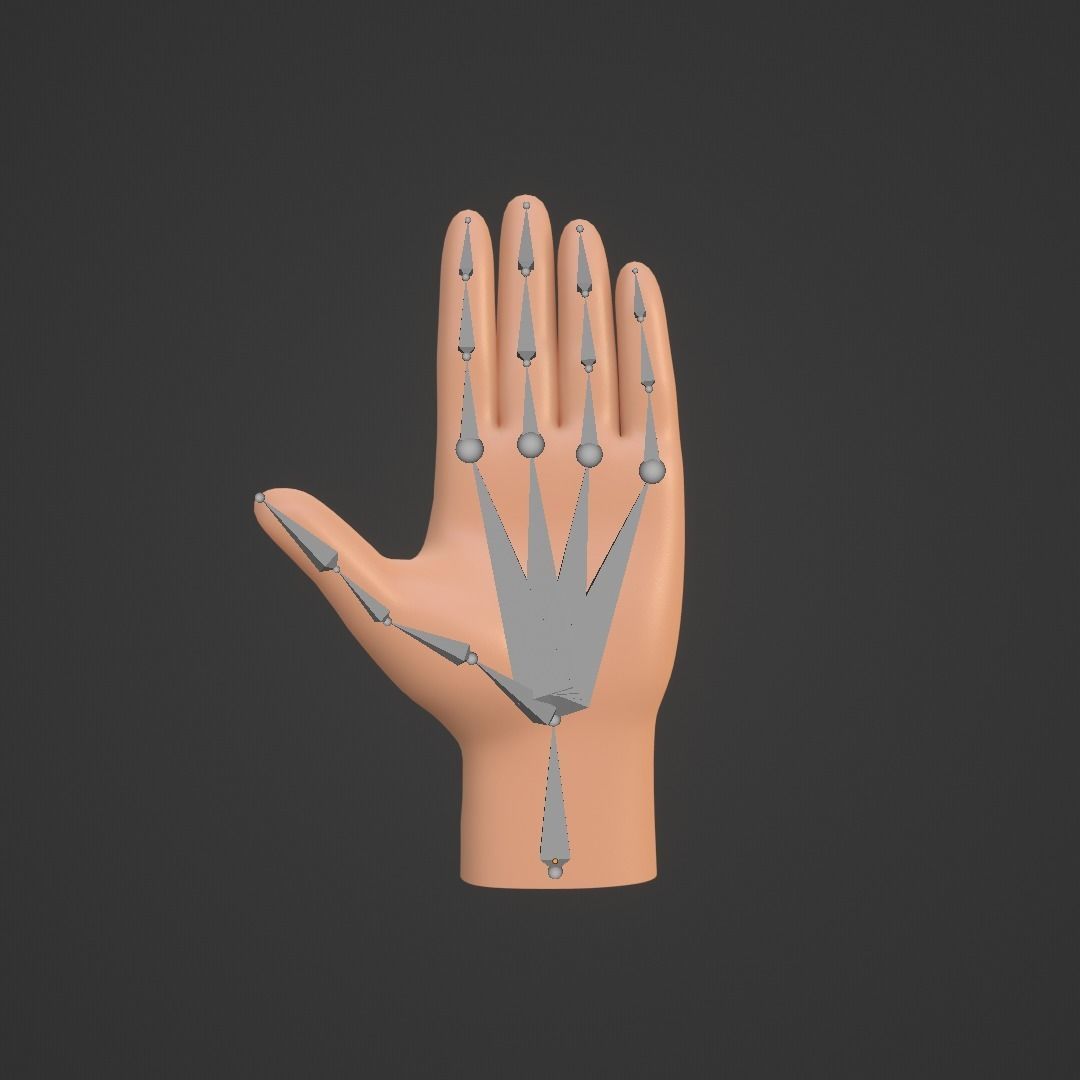 Simple Cartoon hand rigged free 3D model rigged | CGTrader
